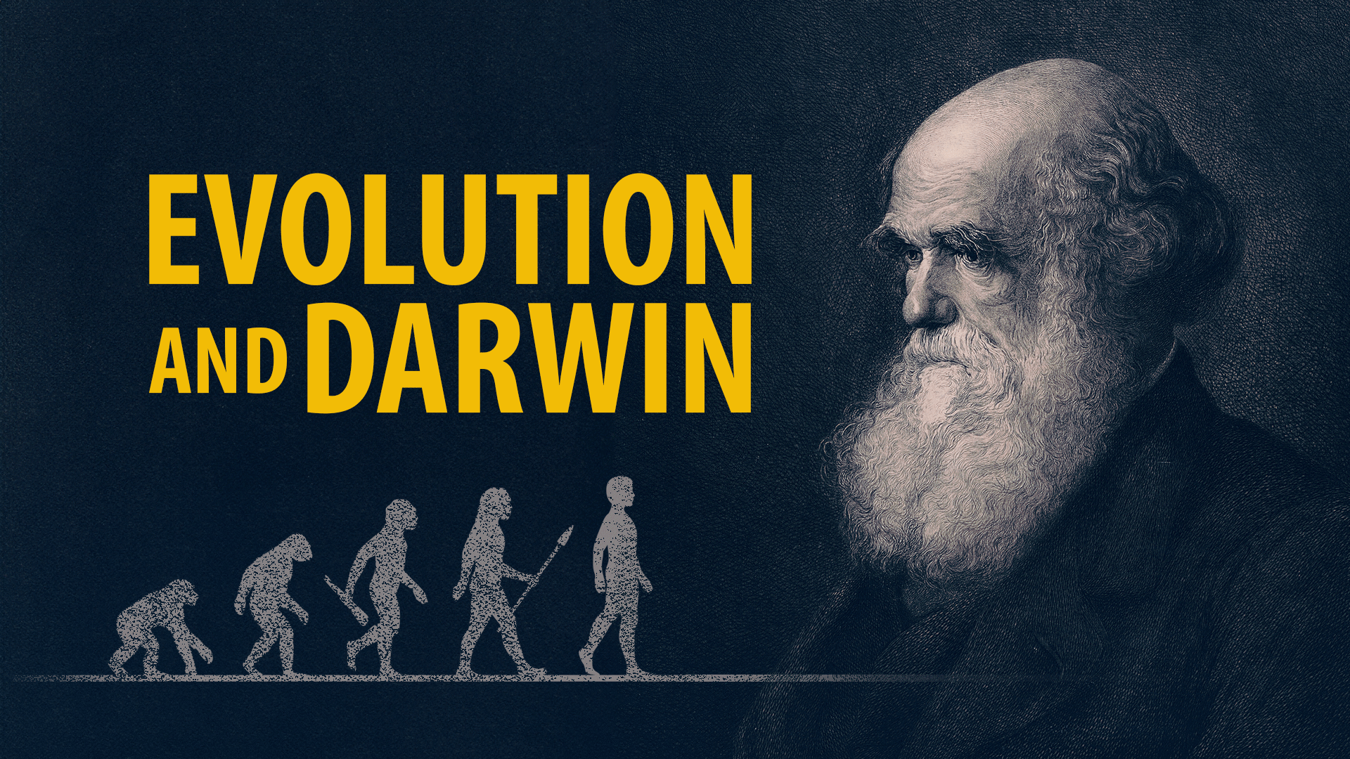 Evolution and Darwin Video & Resources | ClickView