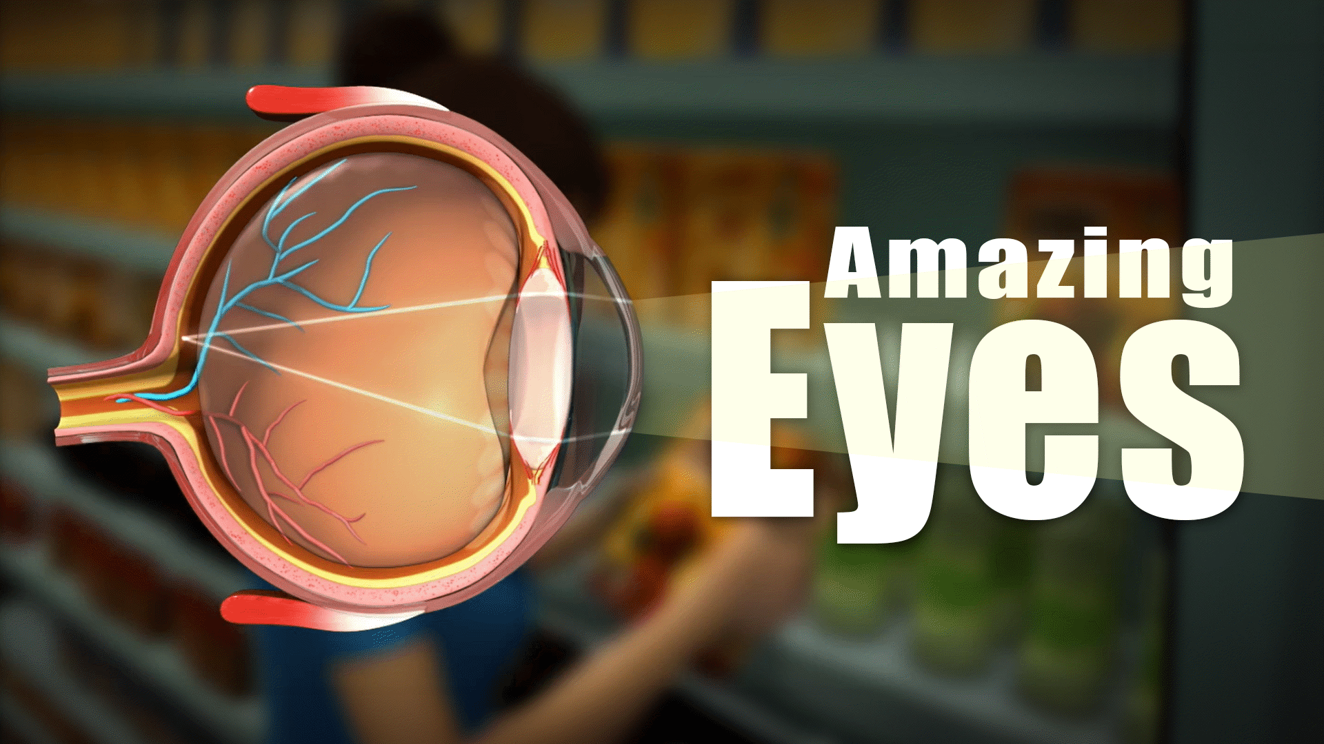 Power of the Accomodation of the Human Eye | ClickView