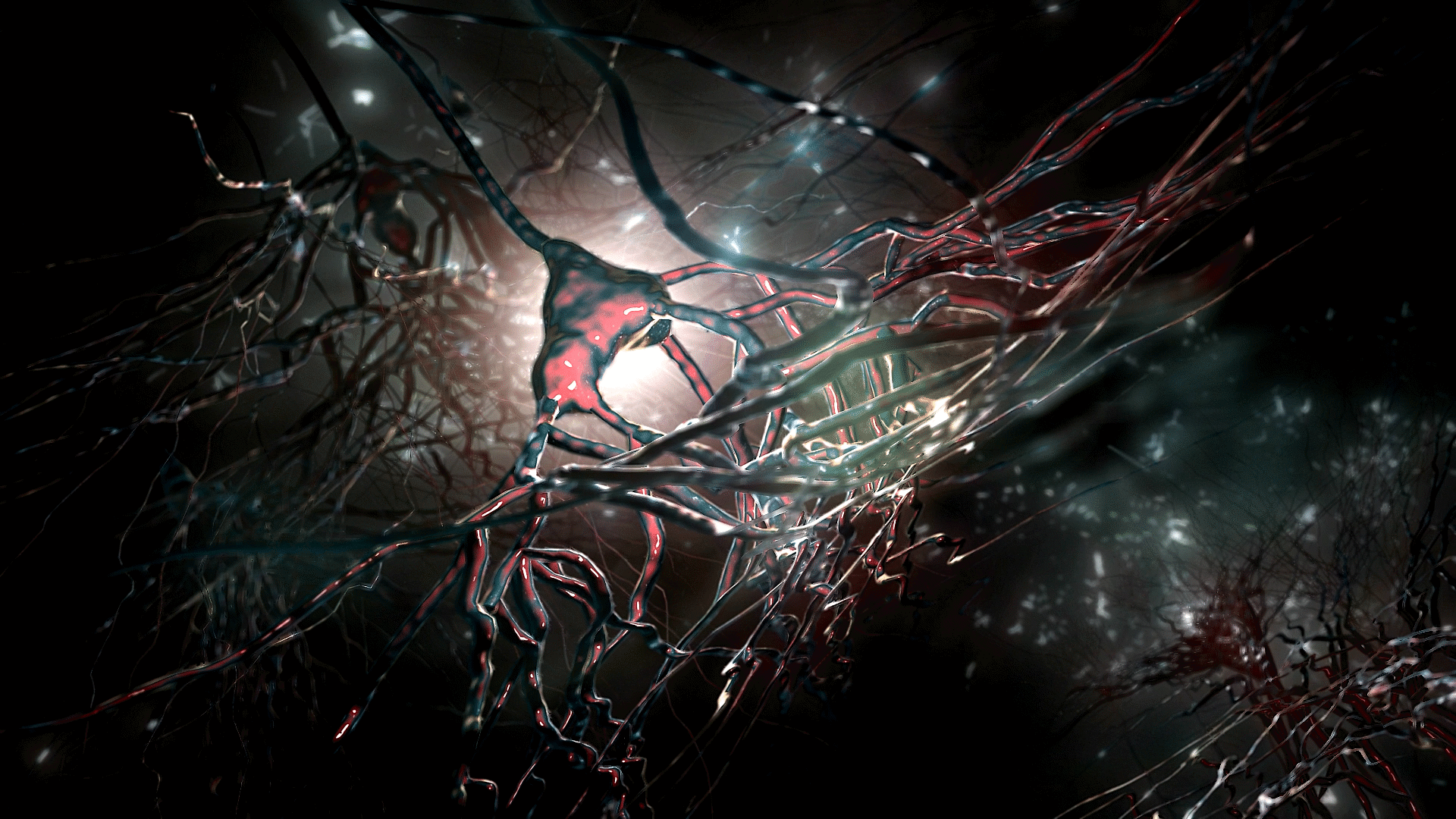 Principles of Muscle Control Video & Resources | ClickView