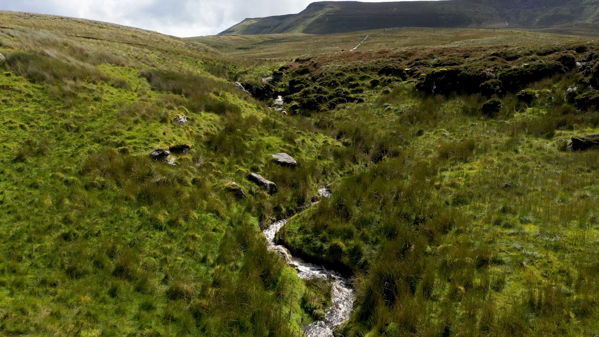 River Landforms of the Lower Course | ClickView