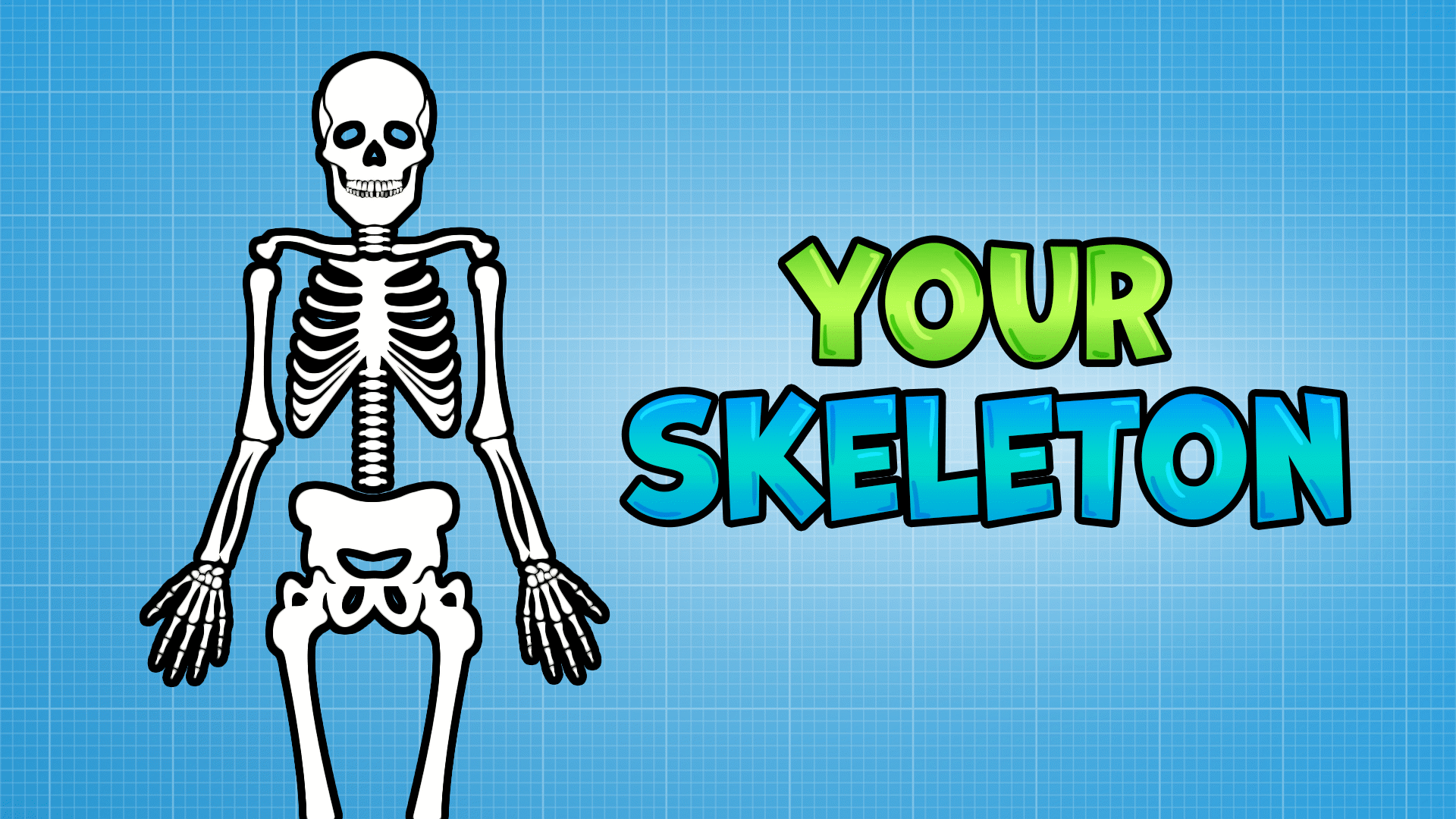 Skeleton Video & Resources | ClickView