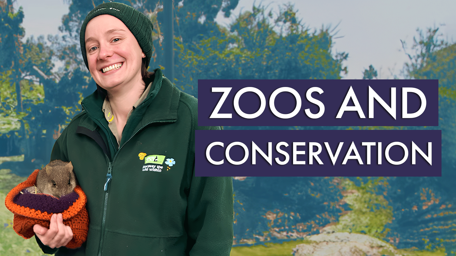 Zoos and Conservation Video & Resources | ClickView