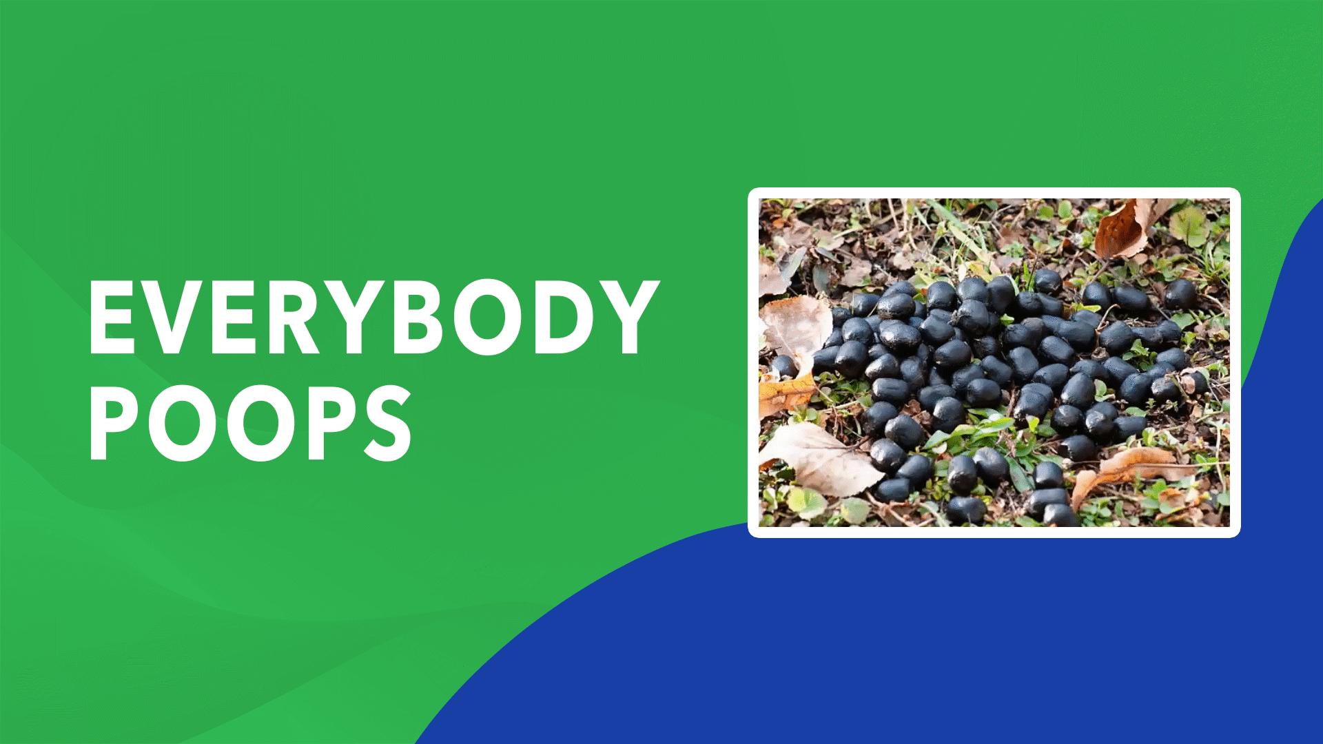 Everybody Poops Recording | Streamable Learning