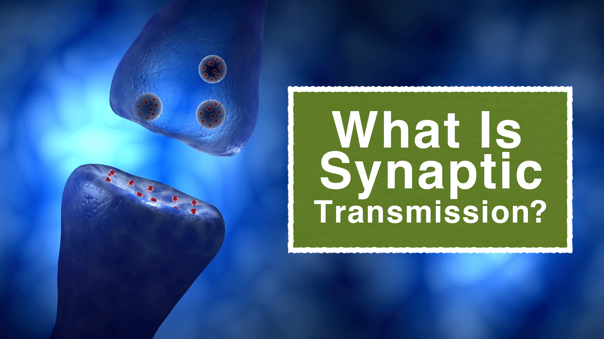 What Is Synaptic Transmission? Video & Resources | ClickView