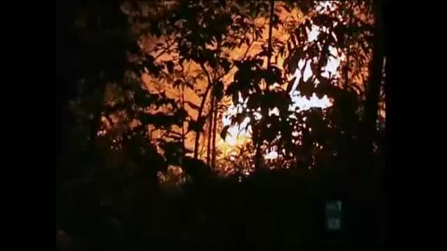 The Burning Season - As part of the Future Ma... - ClickView