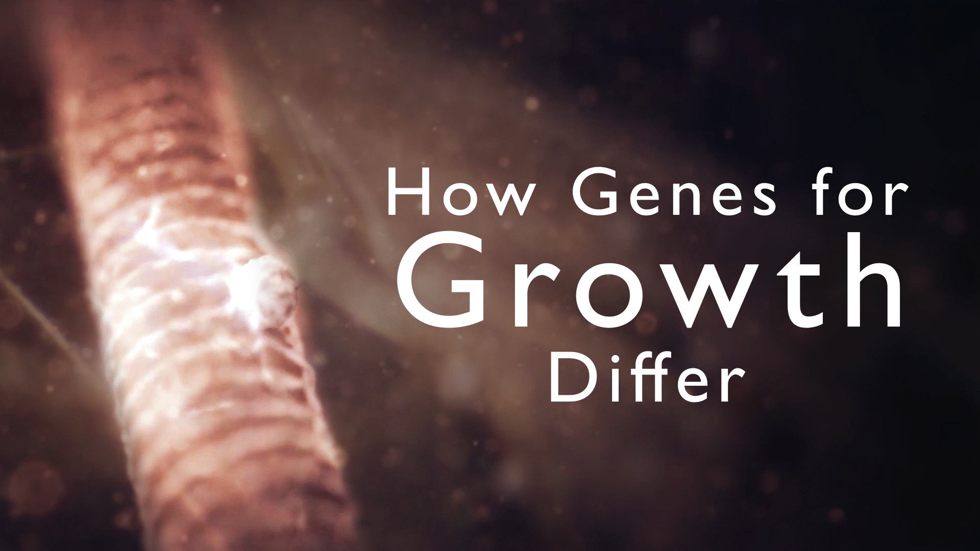 Inheriting Growth Gene Video & Resources | ClickView