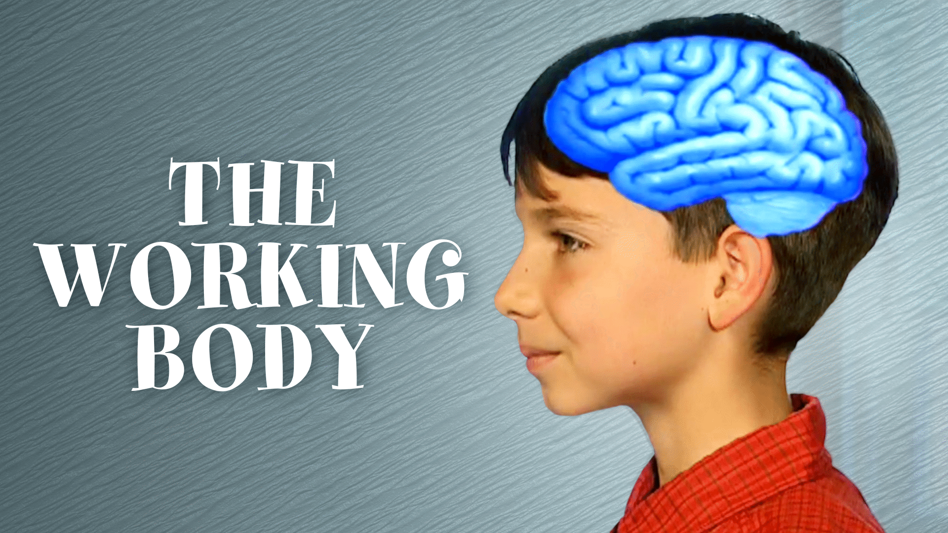 The Human Body: The Working Body | ClickView