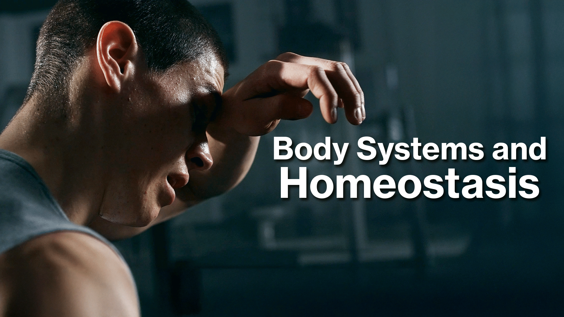 Body Systems and Homeostasis - ClickView