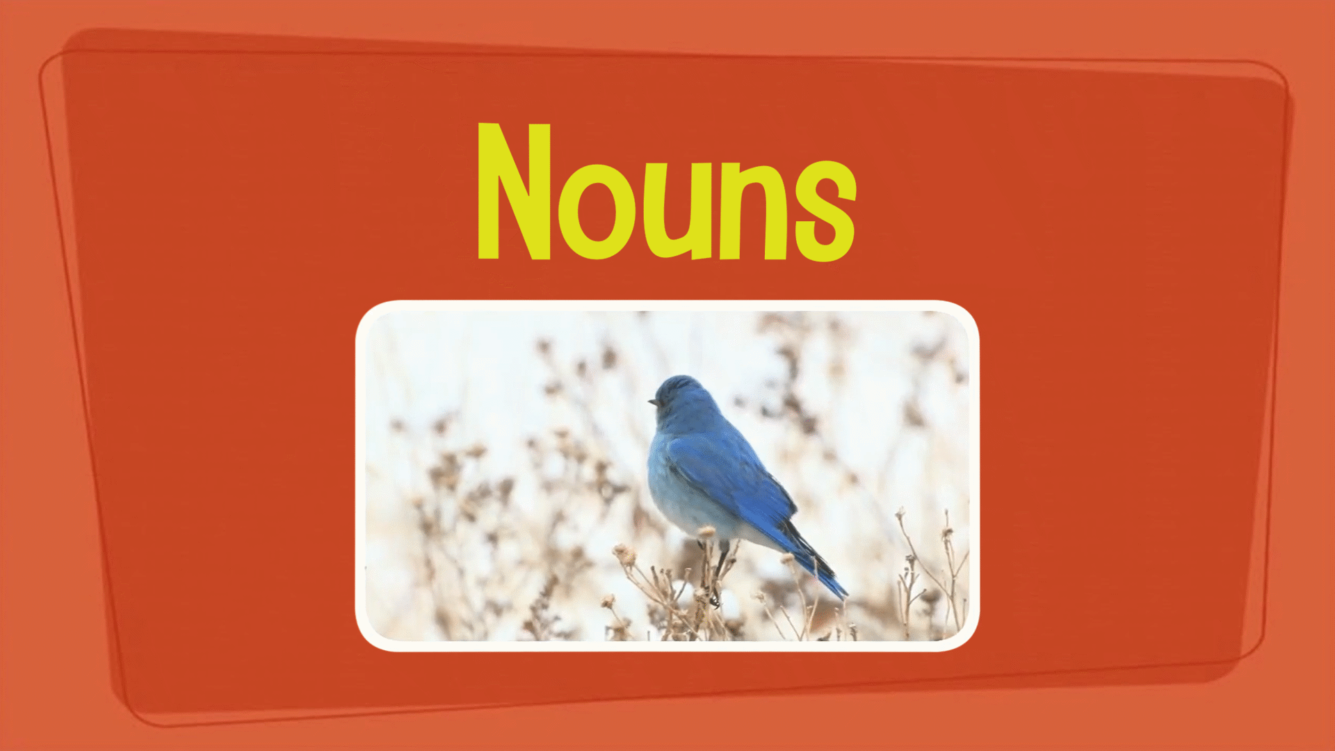 Nouns Video & Resources | ClickView