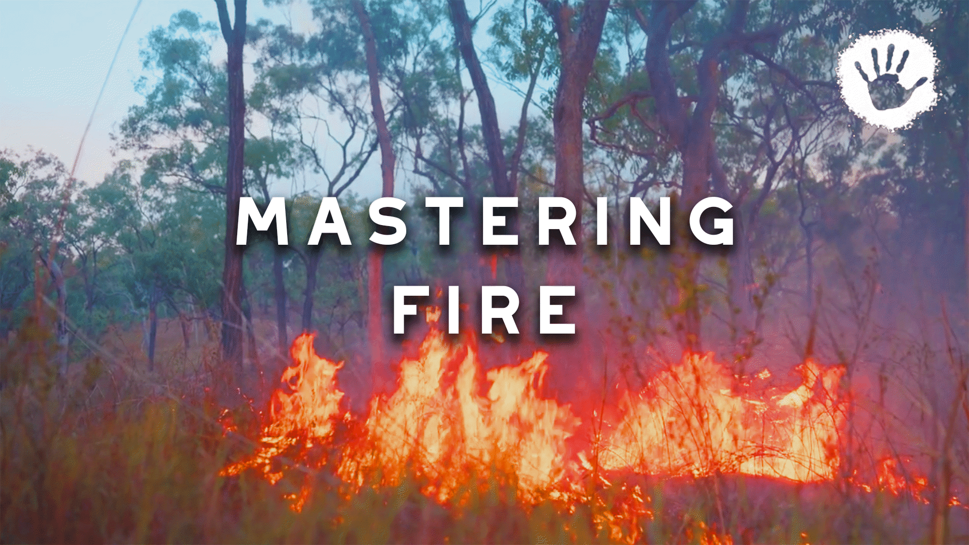 The First Inventors Videos & Resources | ClickView