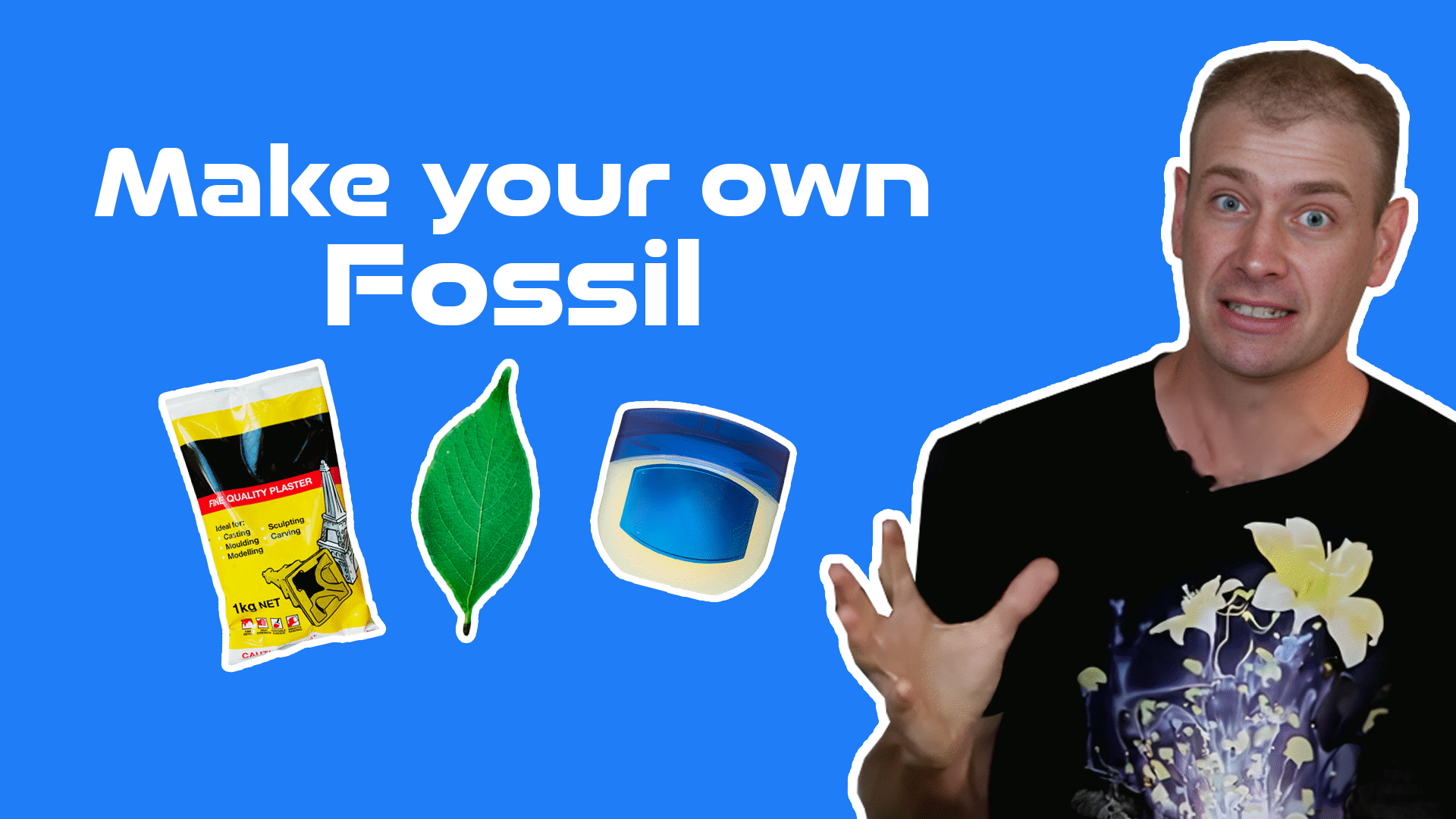 DIY Fossils Video & Resources | ClickView