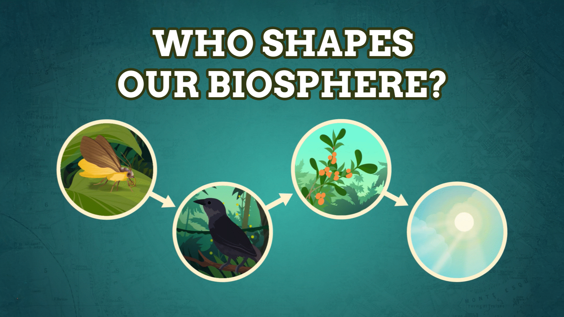 What Are Ecosystems? Video & Resources | ClickView