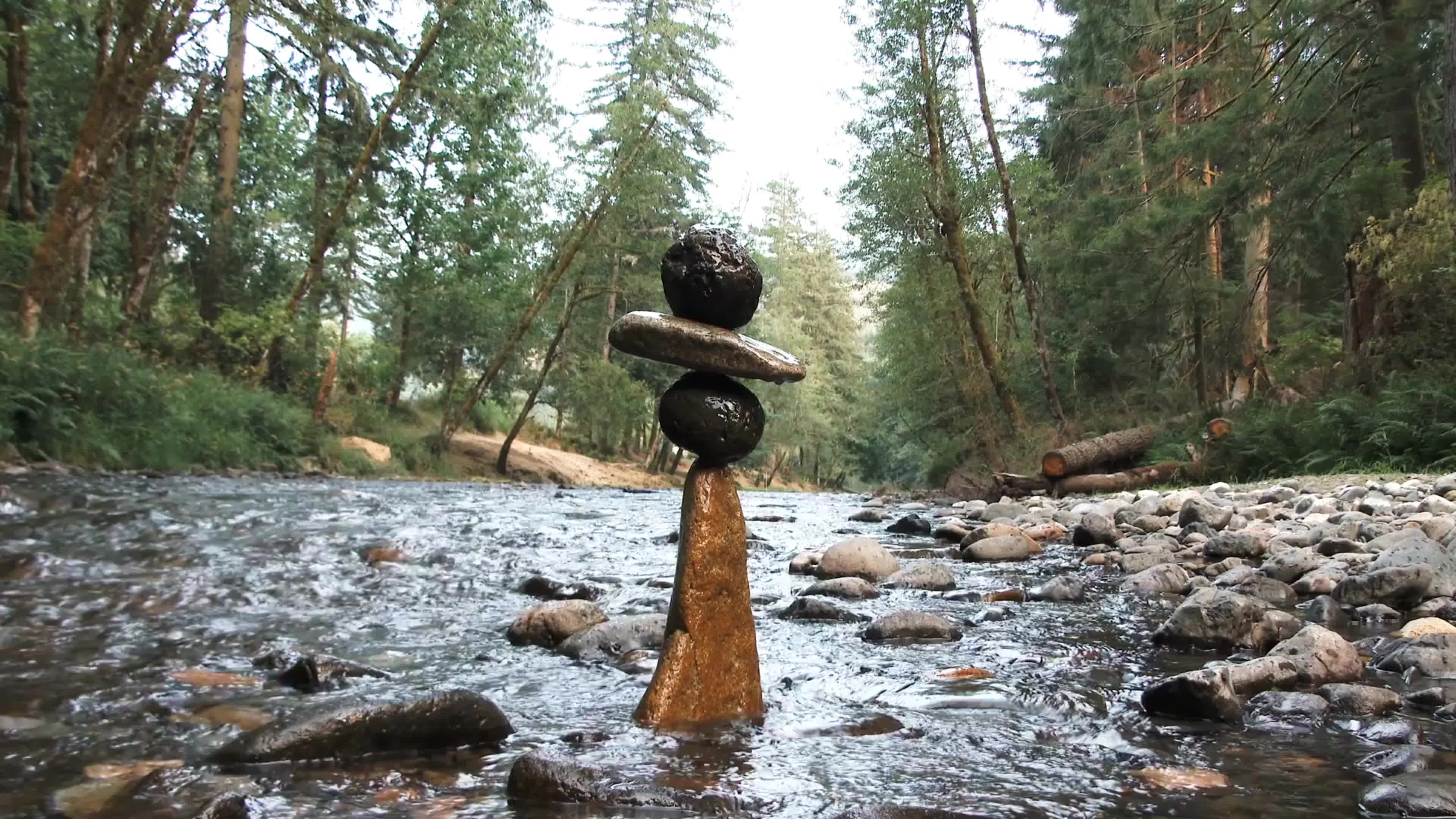 World's Most Venomous Snakes: The Biggest and the Baddest | ClickView