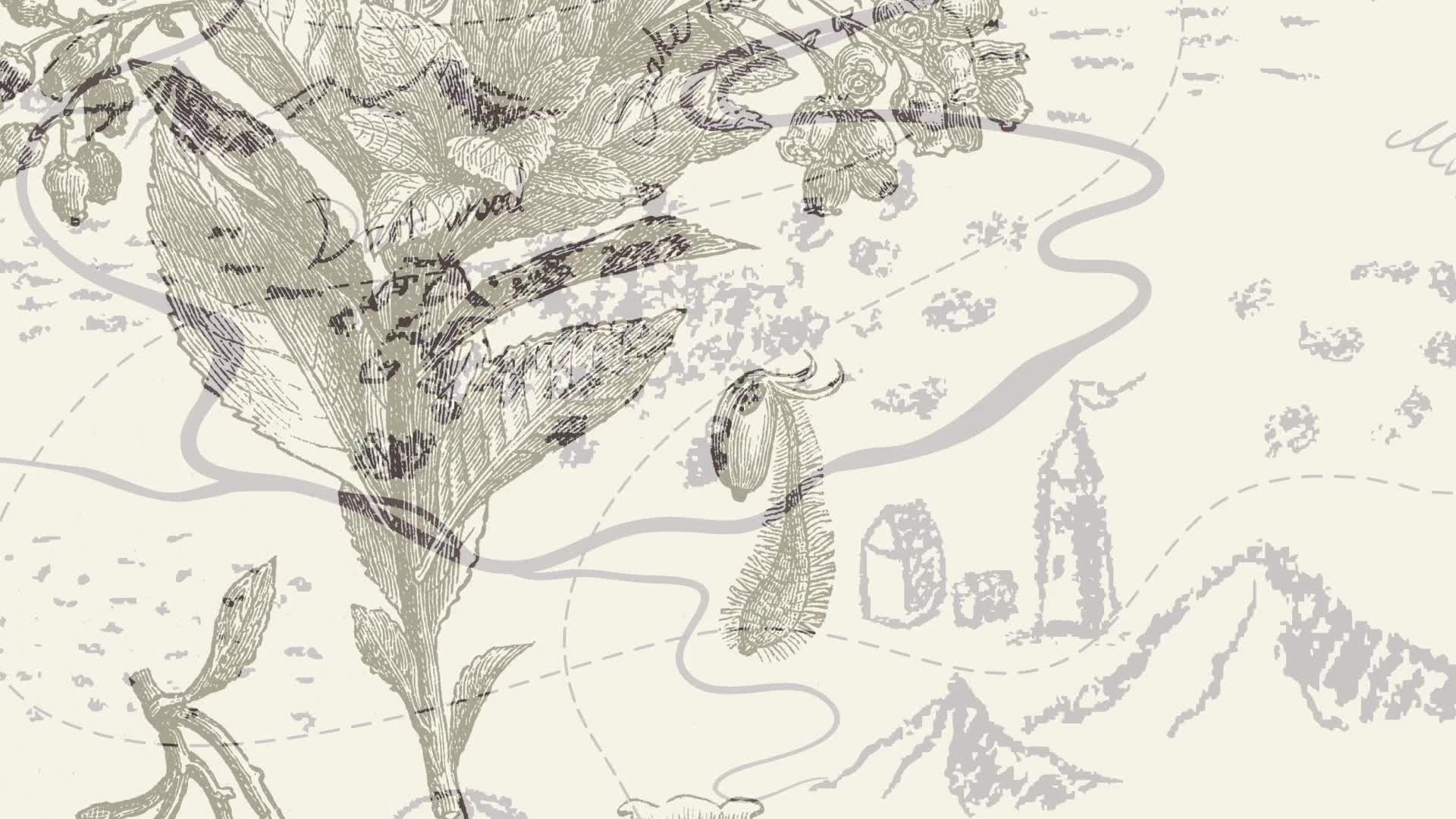 Choosing the Right Musical Instrument For Me | ClickView