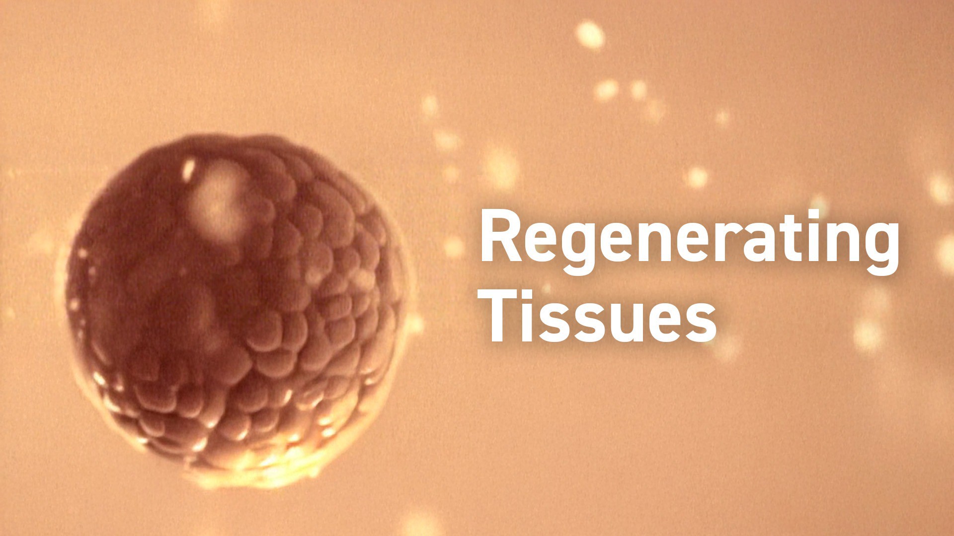 Cells and DNA: Using Genetics Videos & Resources | ClickView
