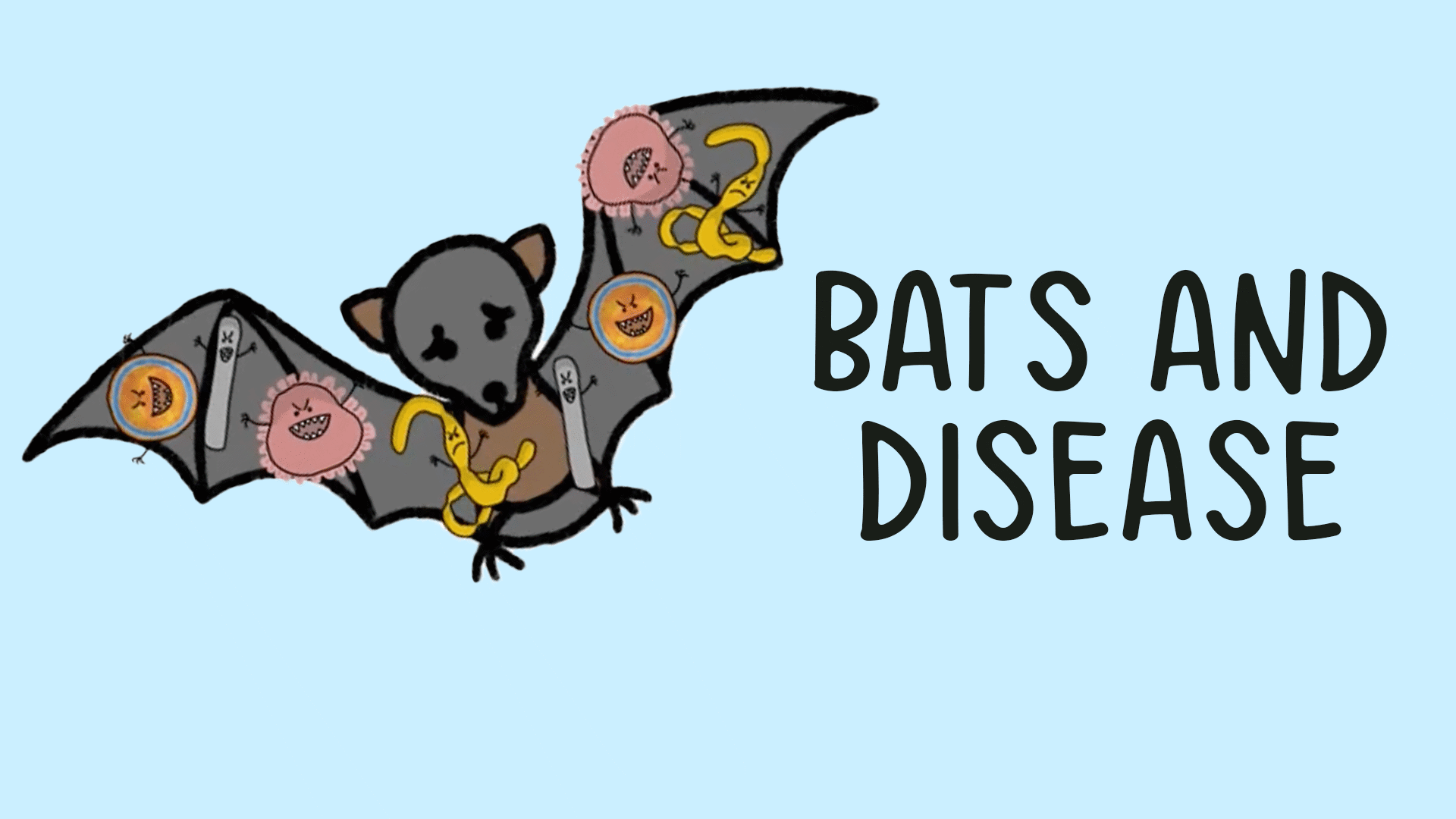 Why Do Bats Carry So Many Diseases? | ClickView