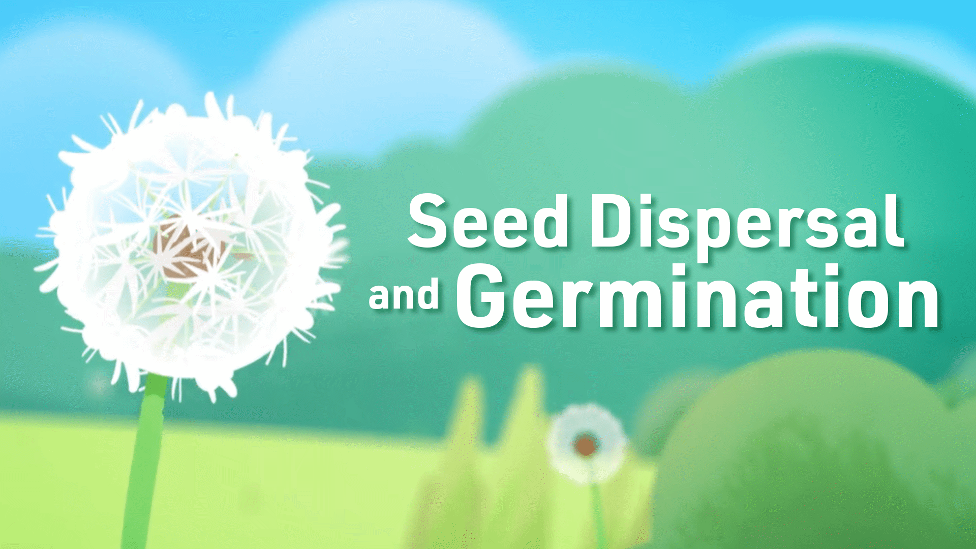 How Do Plants Spread Their Seeds? | ClickView