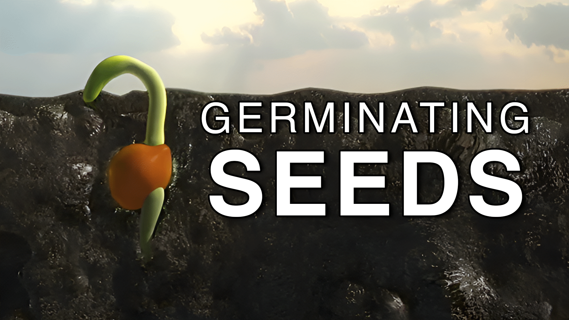 Understanding Life Systems: Growth and Changes in Plants | ClickView