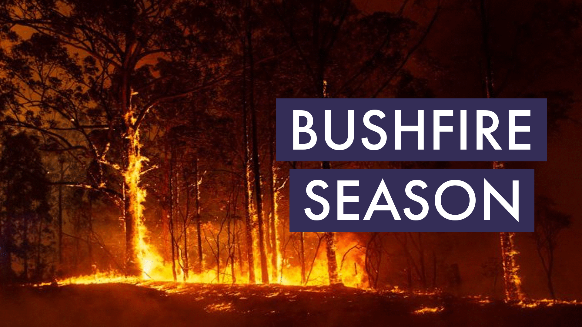 Bushfire Season - 17/09/2019 Video & Resources | ClickView
