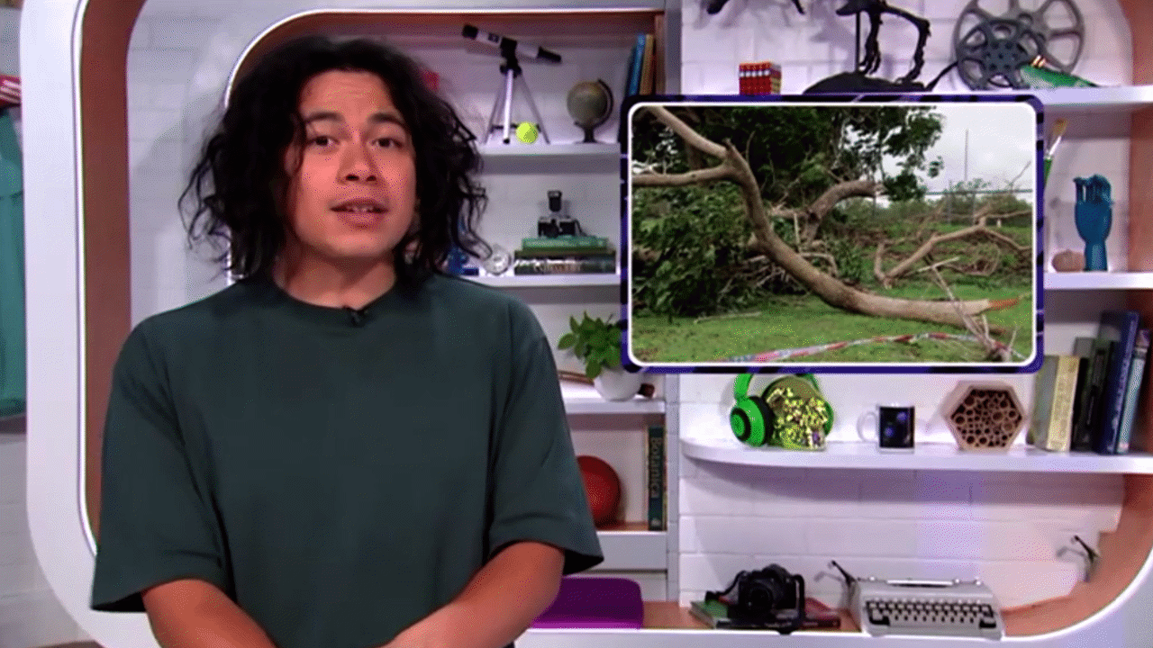 Cyclone Megan - Hundreds of people had to bun... - ClickView