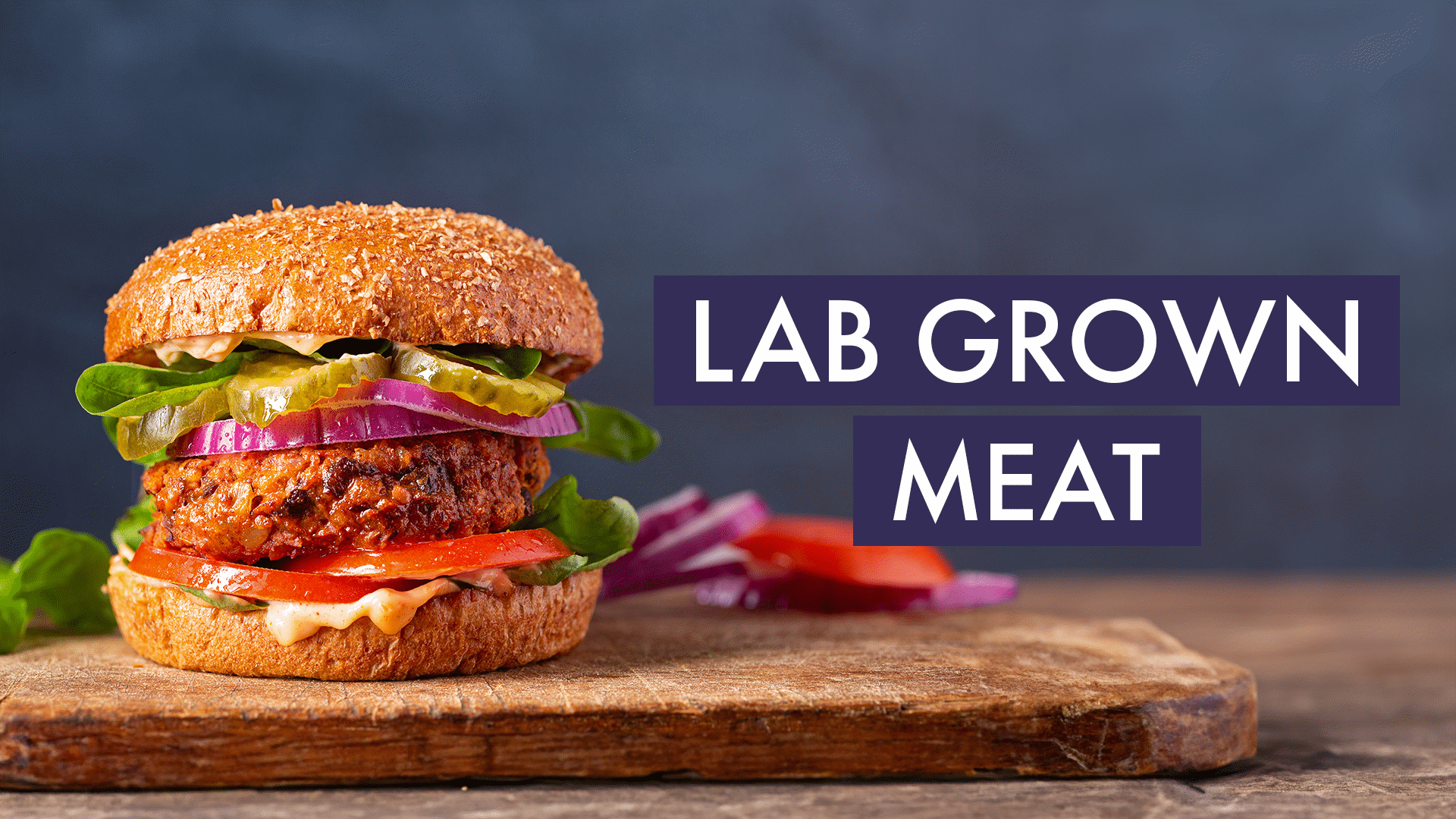 Lab Grown Meat Video & Resources | ClickView
