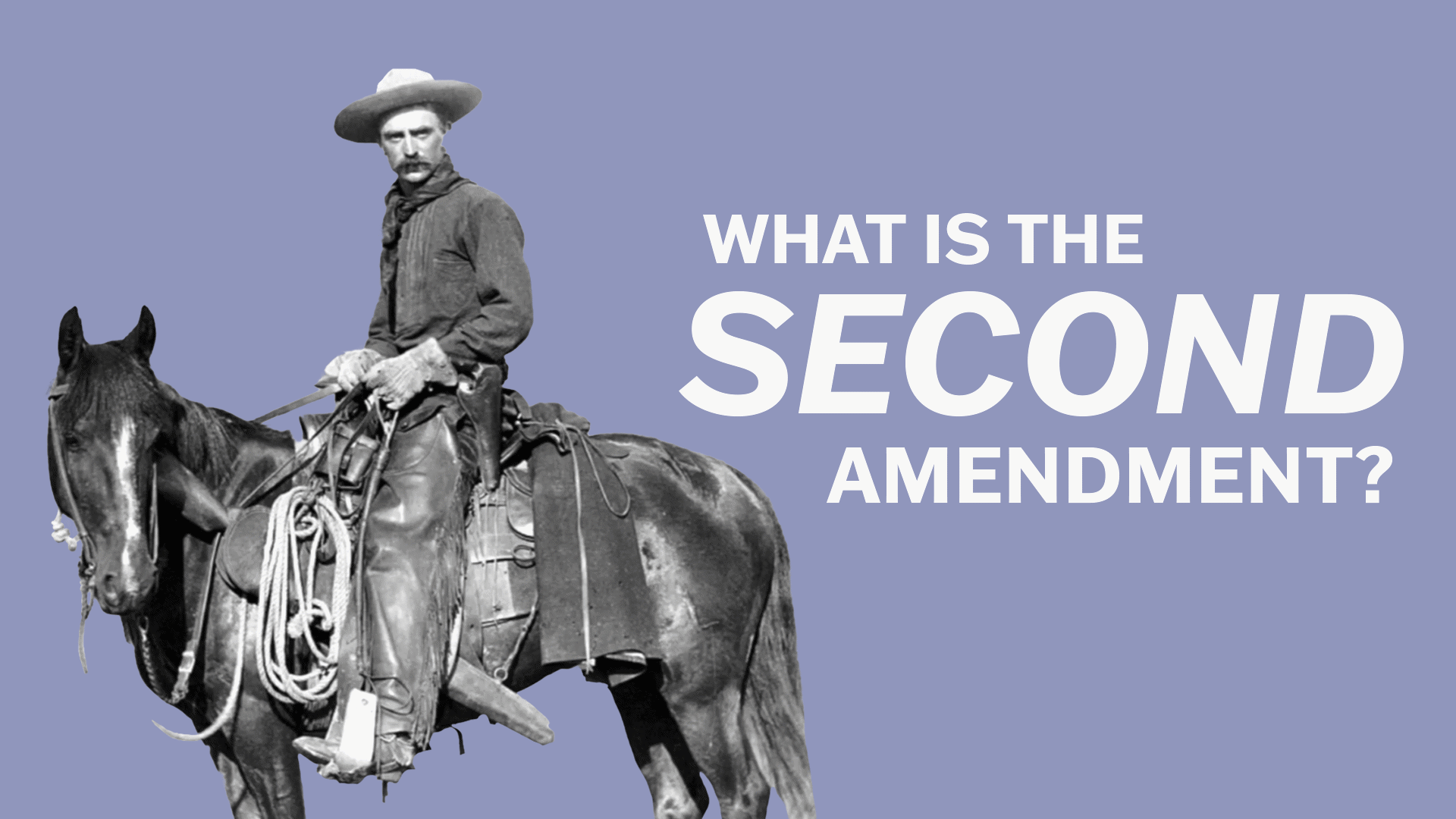 The Second Amendment Video & Resources | ClickView