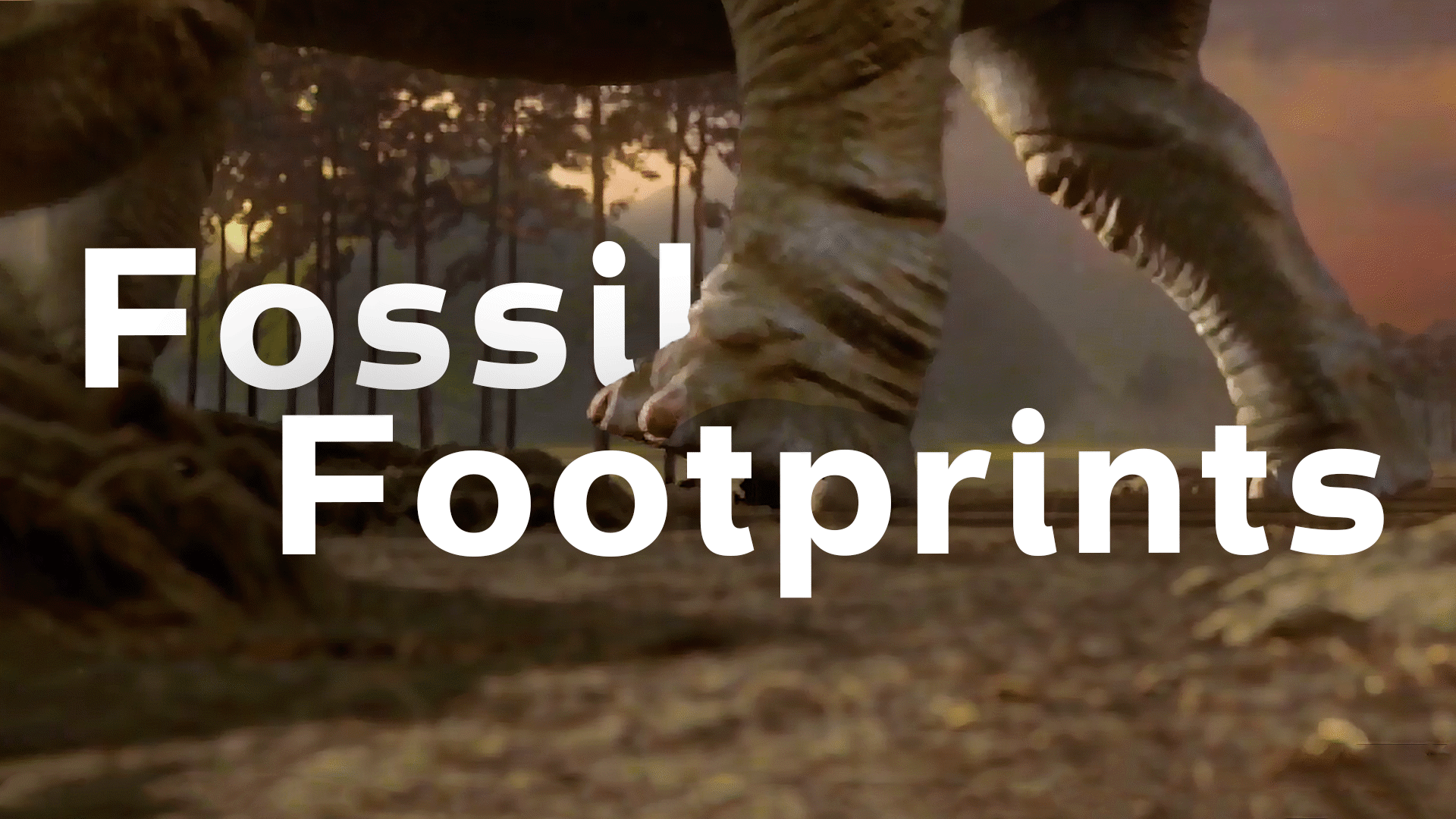Fossil Detectives Video & Resources | ClickView
