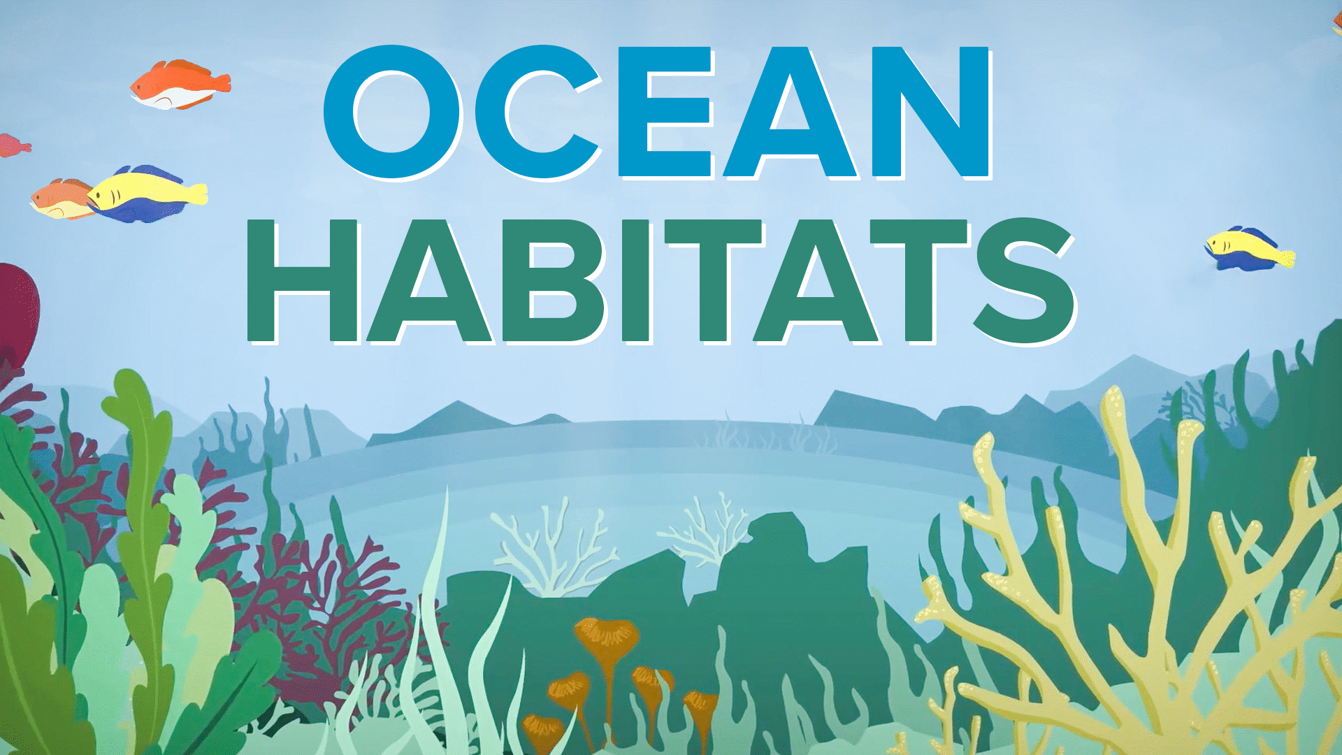 What Is an Ocean Habitat? Video & Resources | ClickView