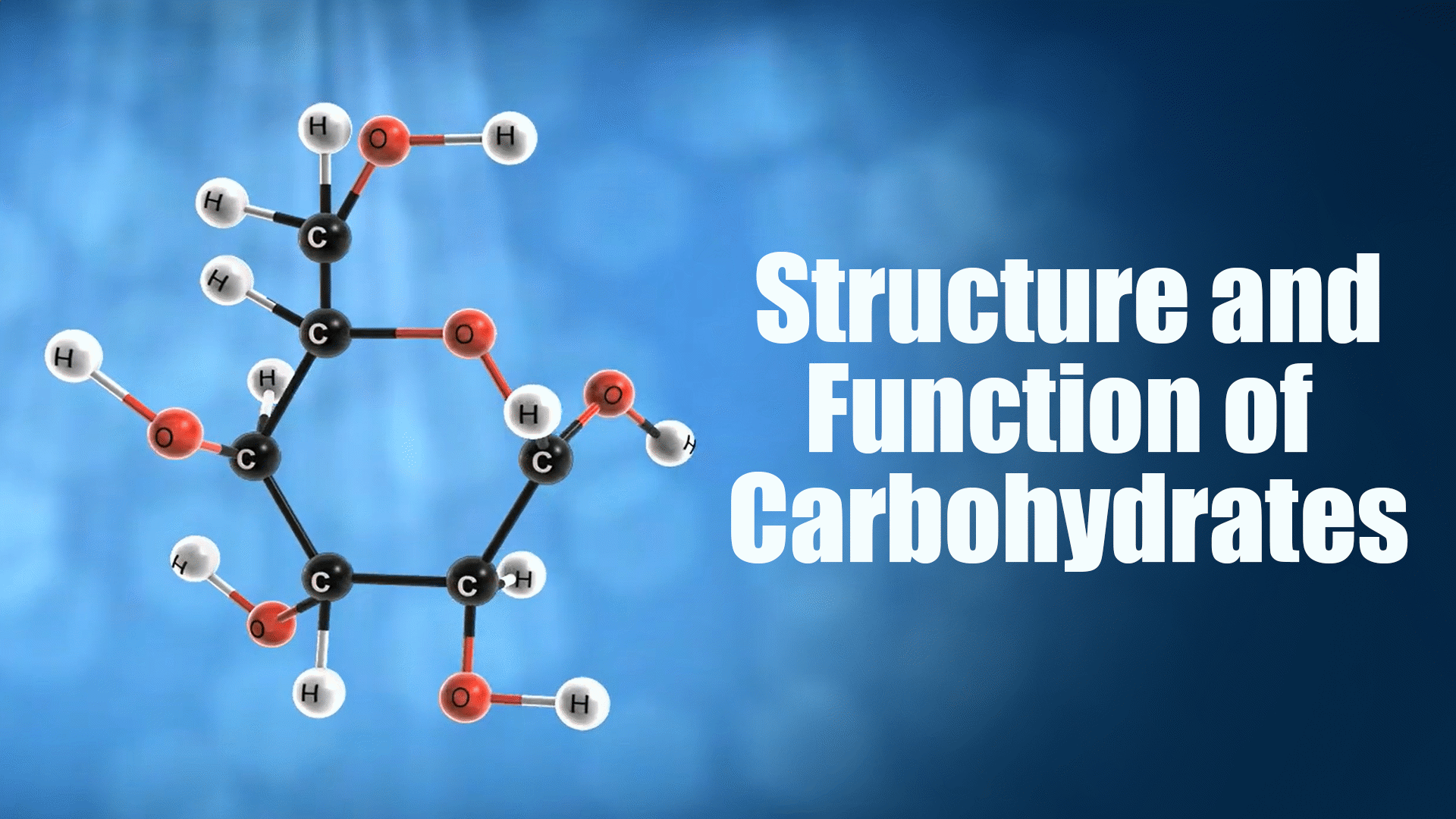 Structure and Function of Carbohydrates | ClickView