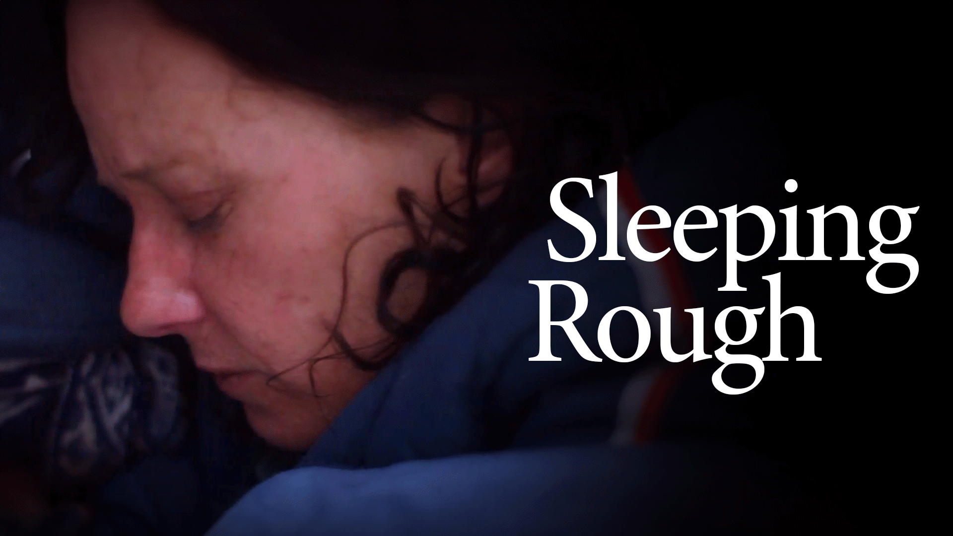 Secondary Videos, Resources & Worksheets | ClickView