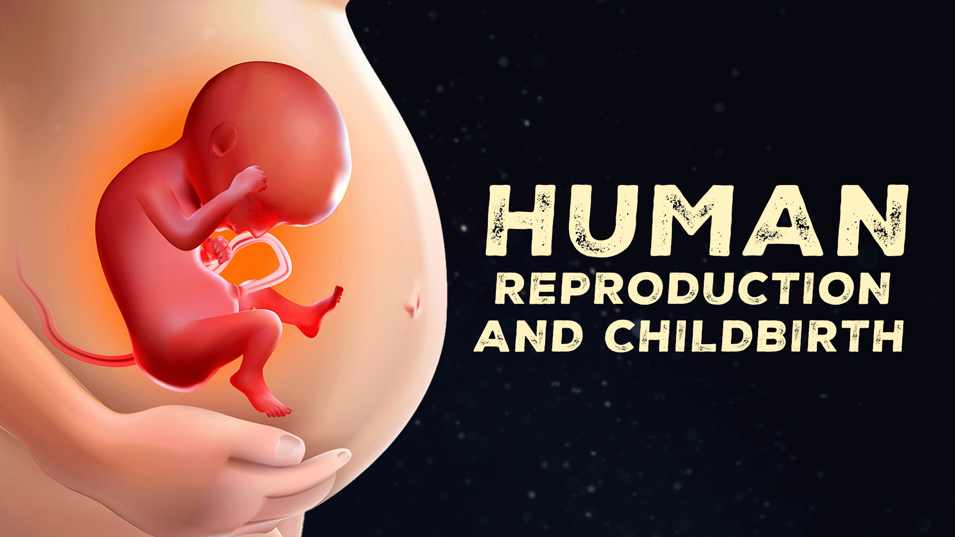 Human Reproduction and Childbirth | ClickView