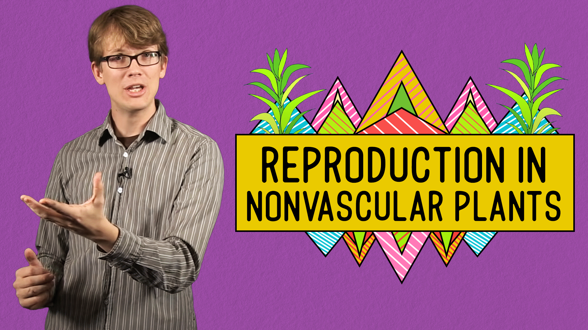 Reproduction in Nonvascular Plants | ClickView