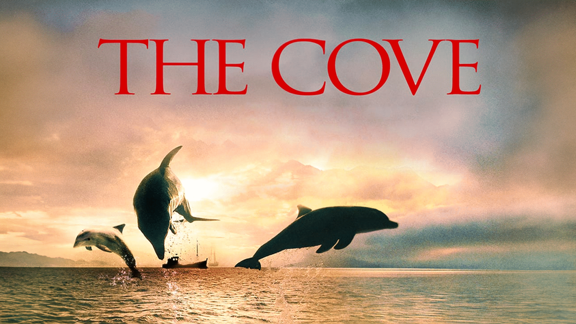 The Cove Video & Resources | ClickView
