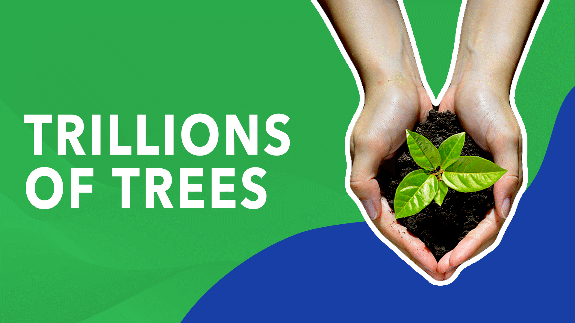 Live Video Field Trips | Streamable Learning