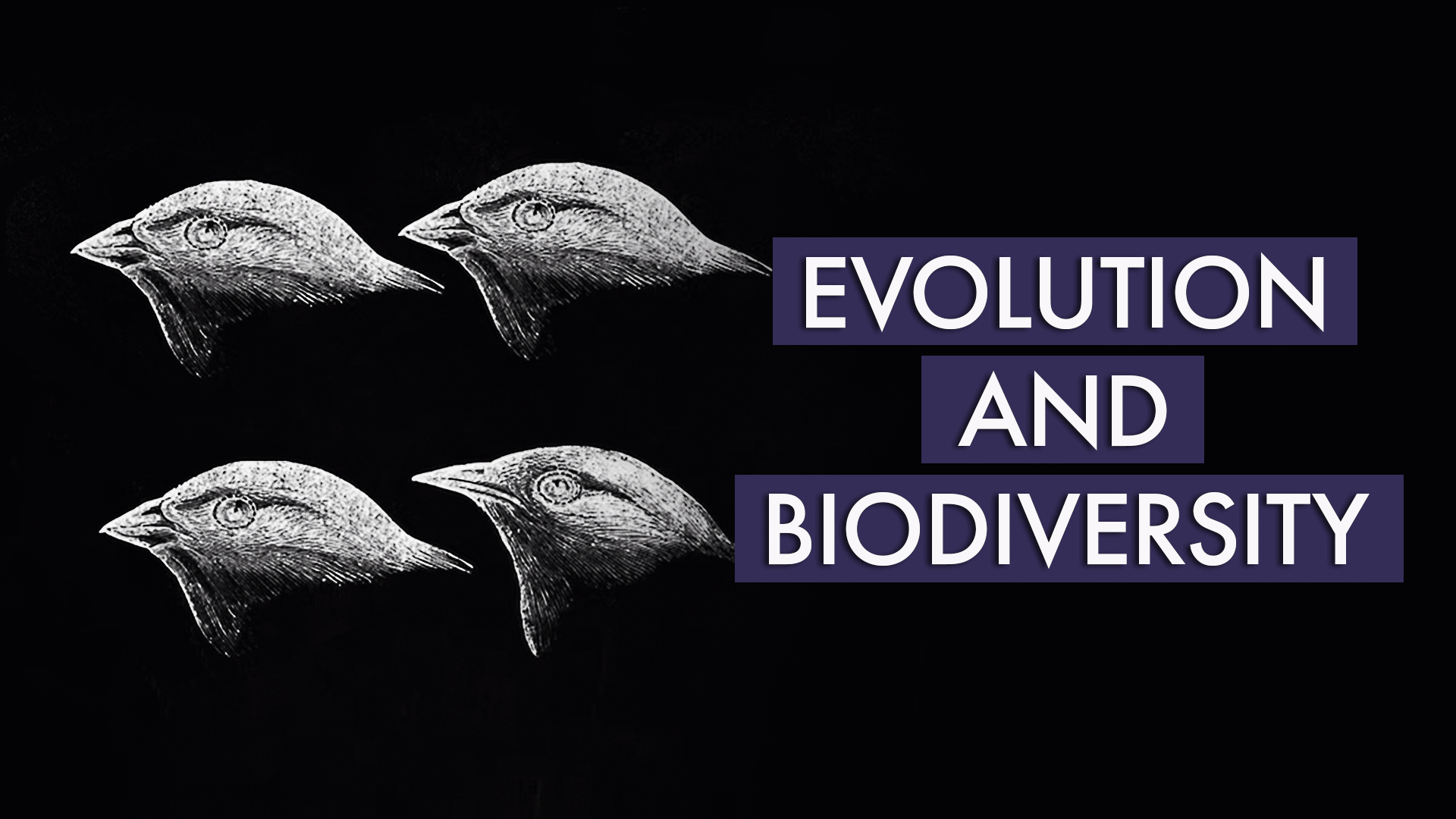 Behind the News latest episodes | ClickView