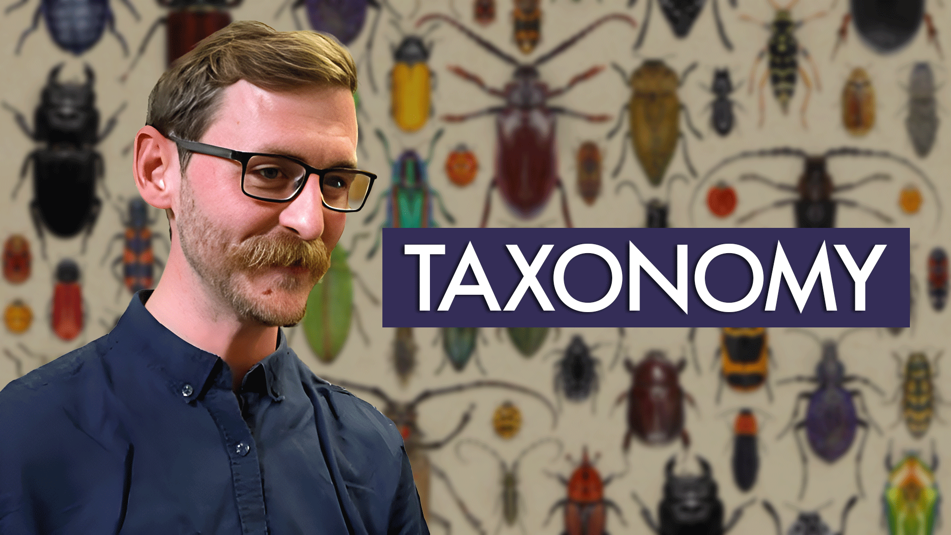 Taxonomy Video & Resources | ClickView