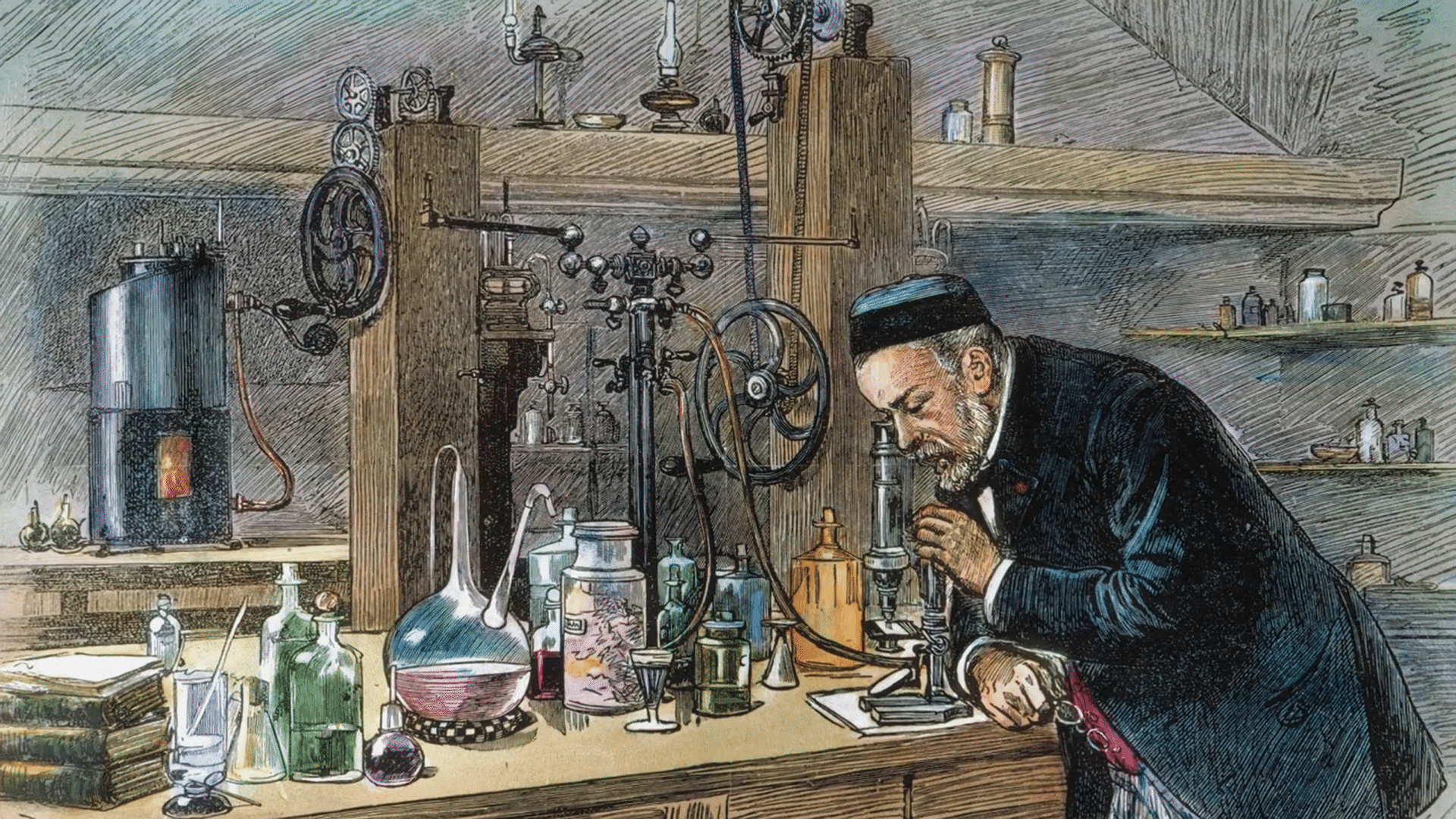 Louis Pasteur Video & Worksheets | ClickView