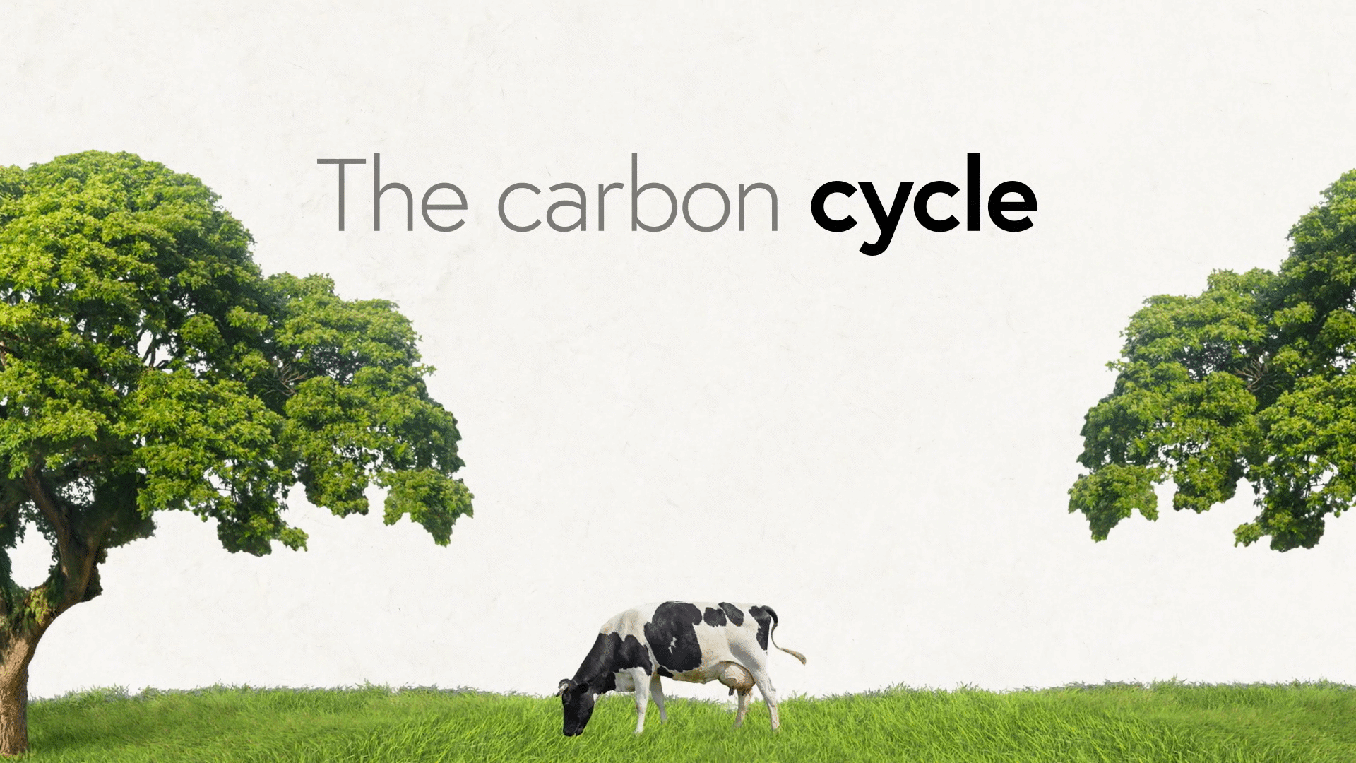 The Carbon Cycle Video Teaching Resources | ClickView