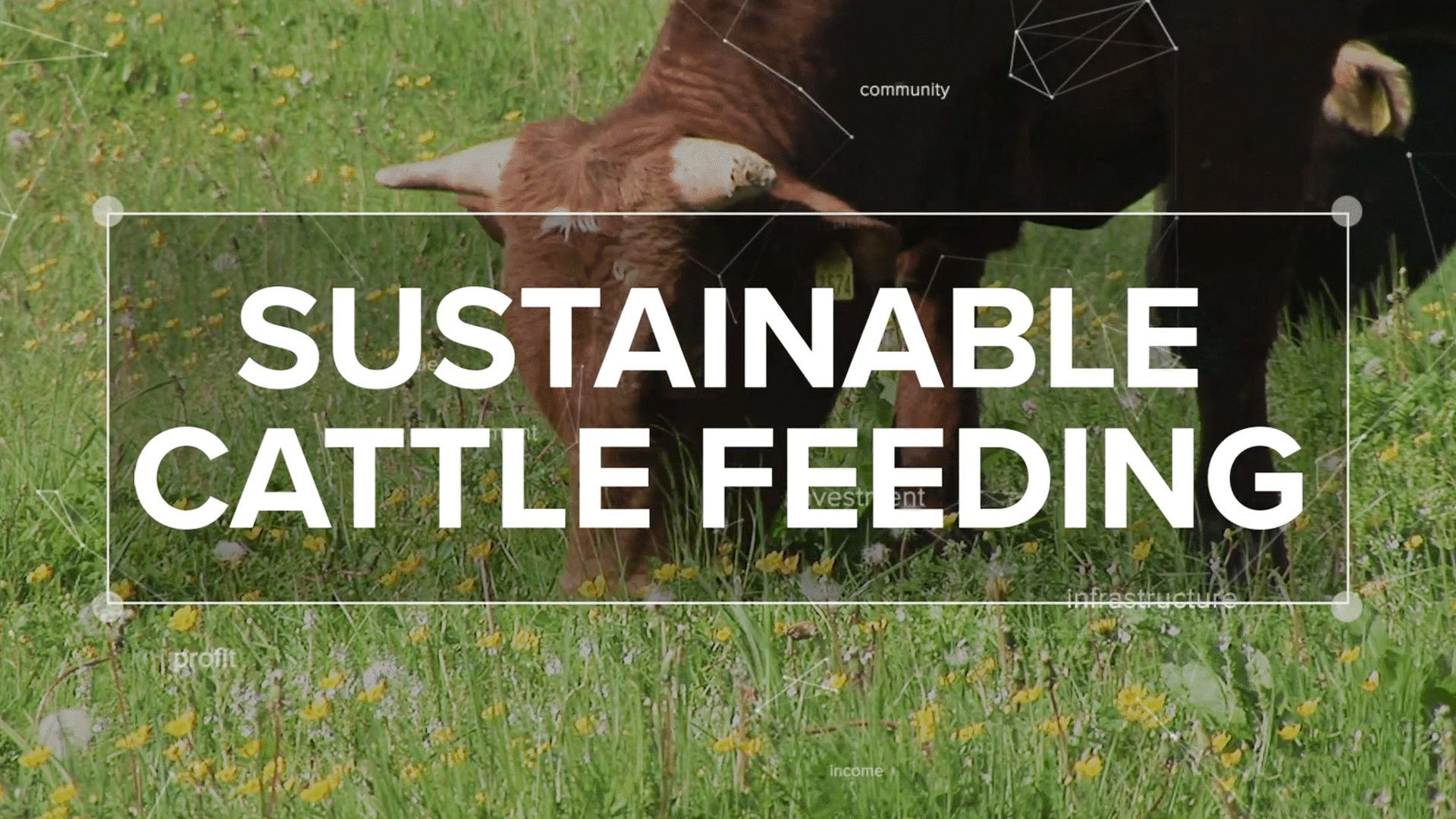 Agriculture and the Triple Bottom Line | ClickView