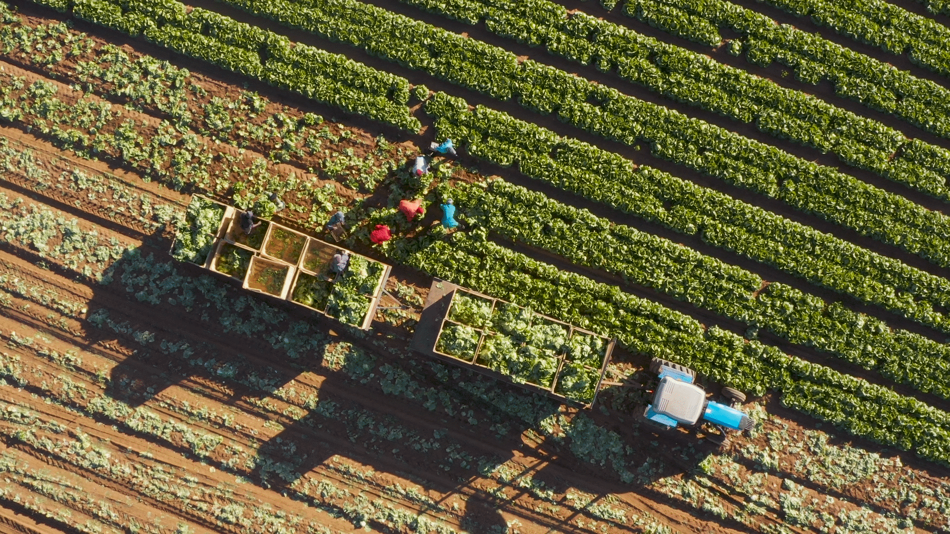 Agriculture and the Triple Bottom Line | ClickView