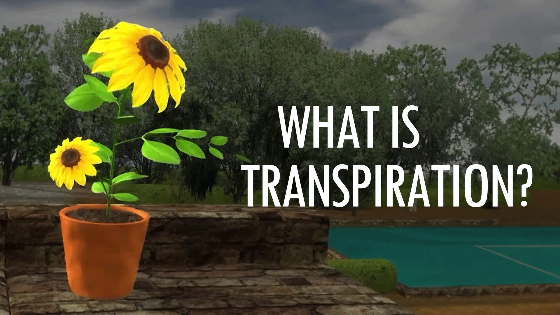 Getting to Know Plants Videos & Resources | ClickView