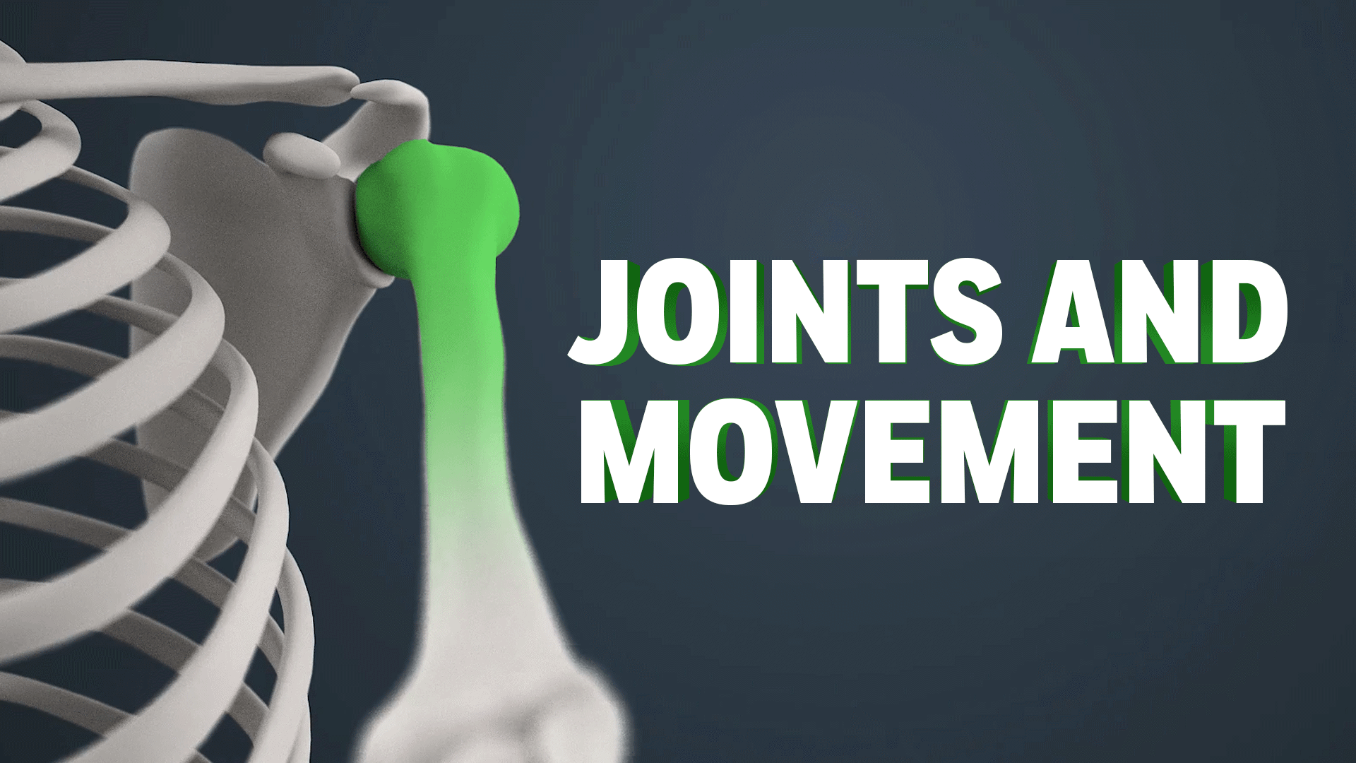 Joints and Movement - ClickView