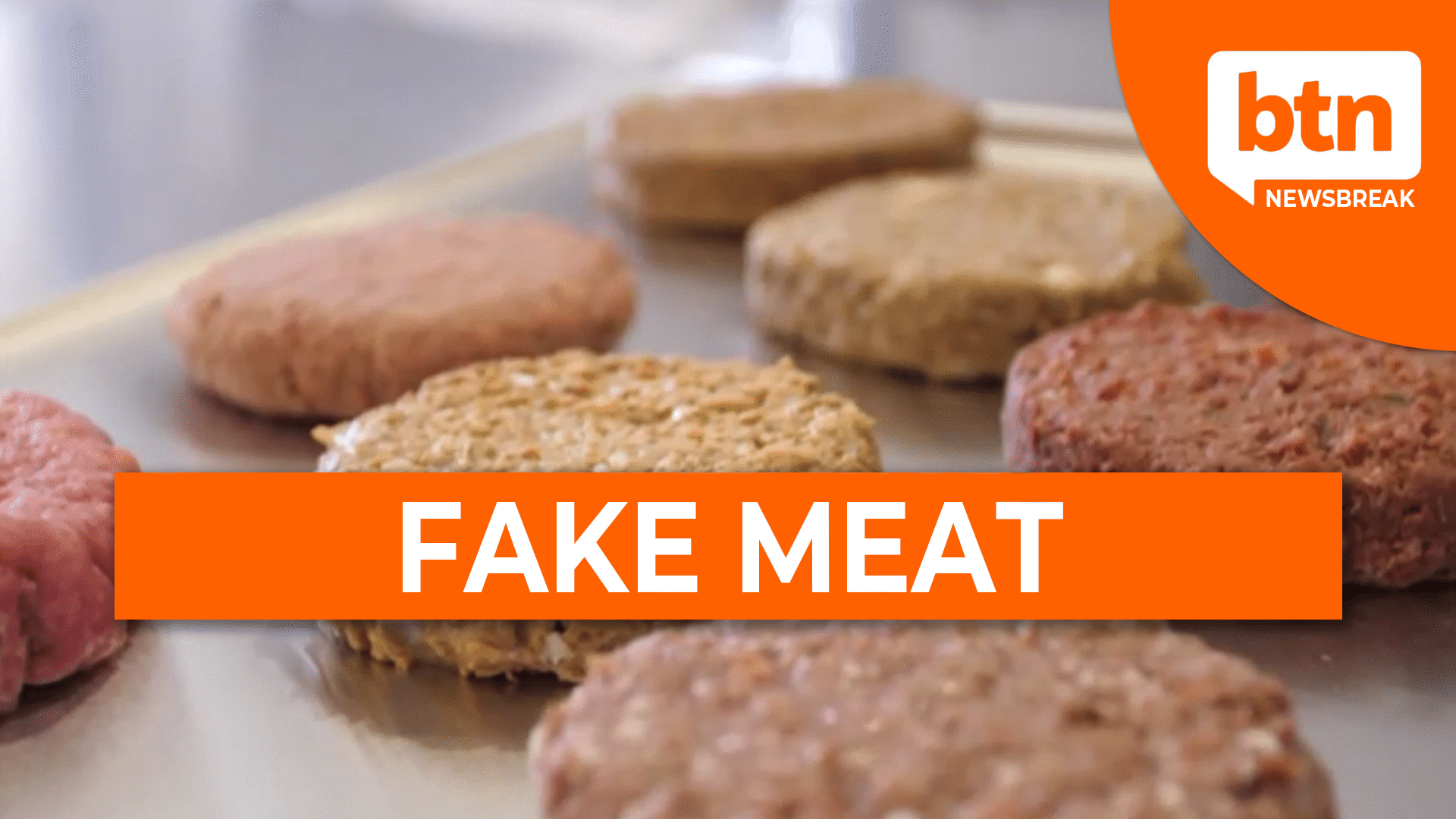 Fake Meat Video & Resources | ClickView