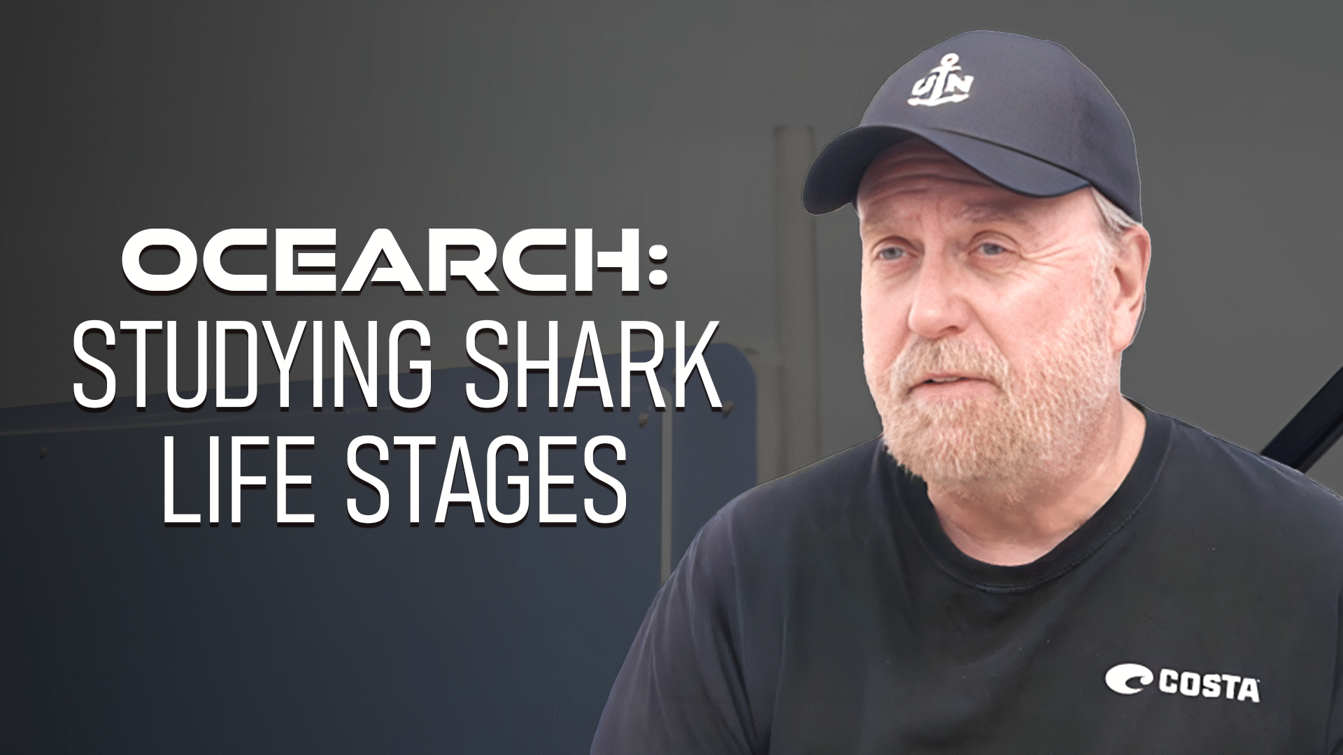 The Life Stages of Sharks Video & Resources | ClickView