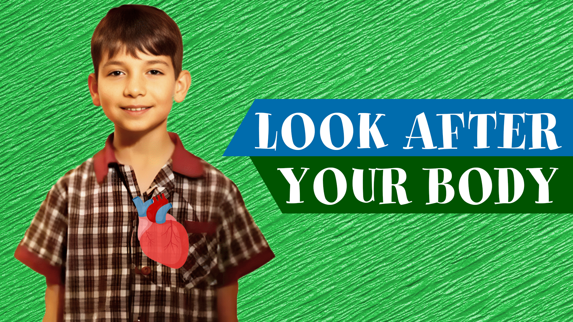 The Human Body: Looking after Your Body | ClickView