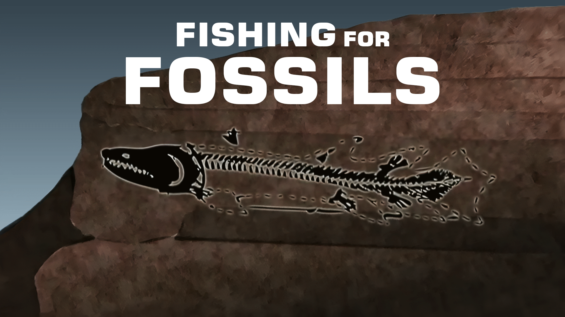 Fishing for Fossils Video & Resources | ClickView