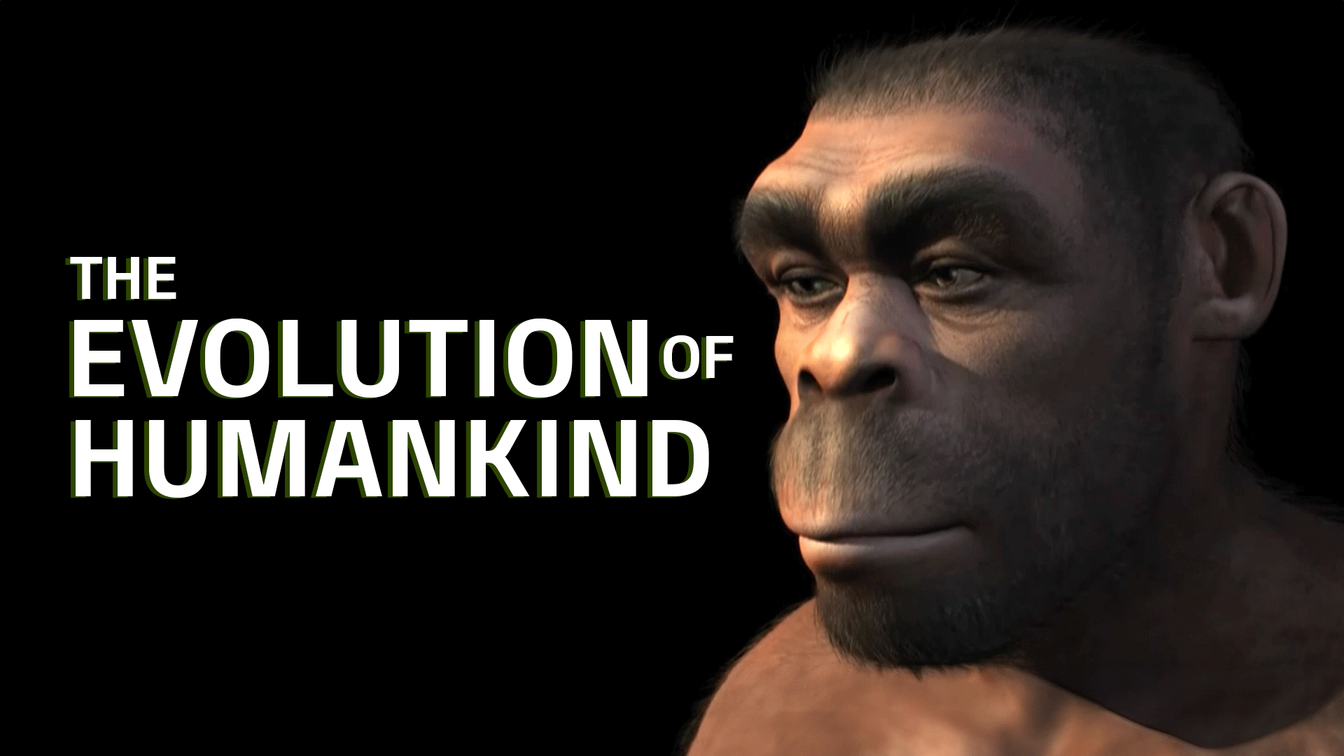 The Hominid Chronology Video & Resources | ClickView