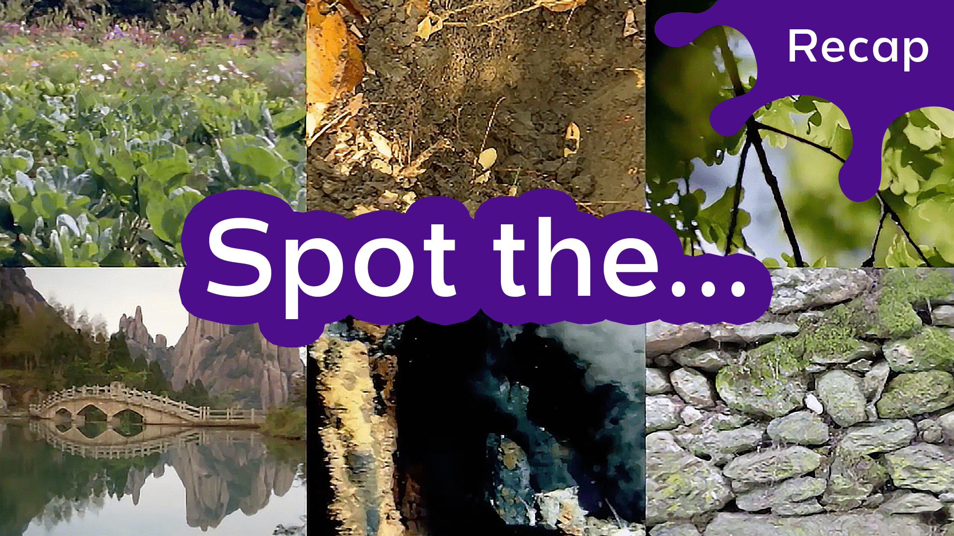 Living Things in their Environments | ClickView