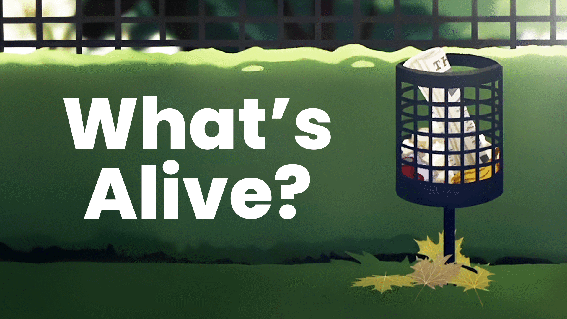 Living and Non-Living Things | ClickView