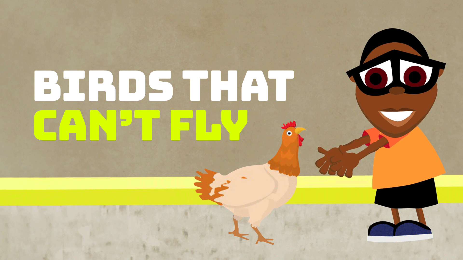 Birds That Can't Fly Video & Resources | ClickView